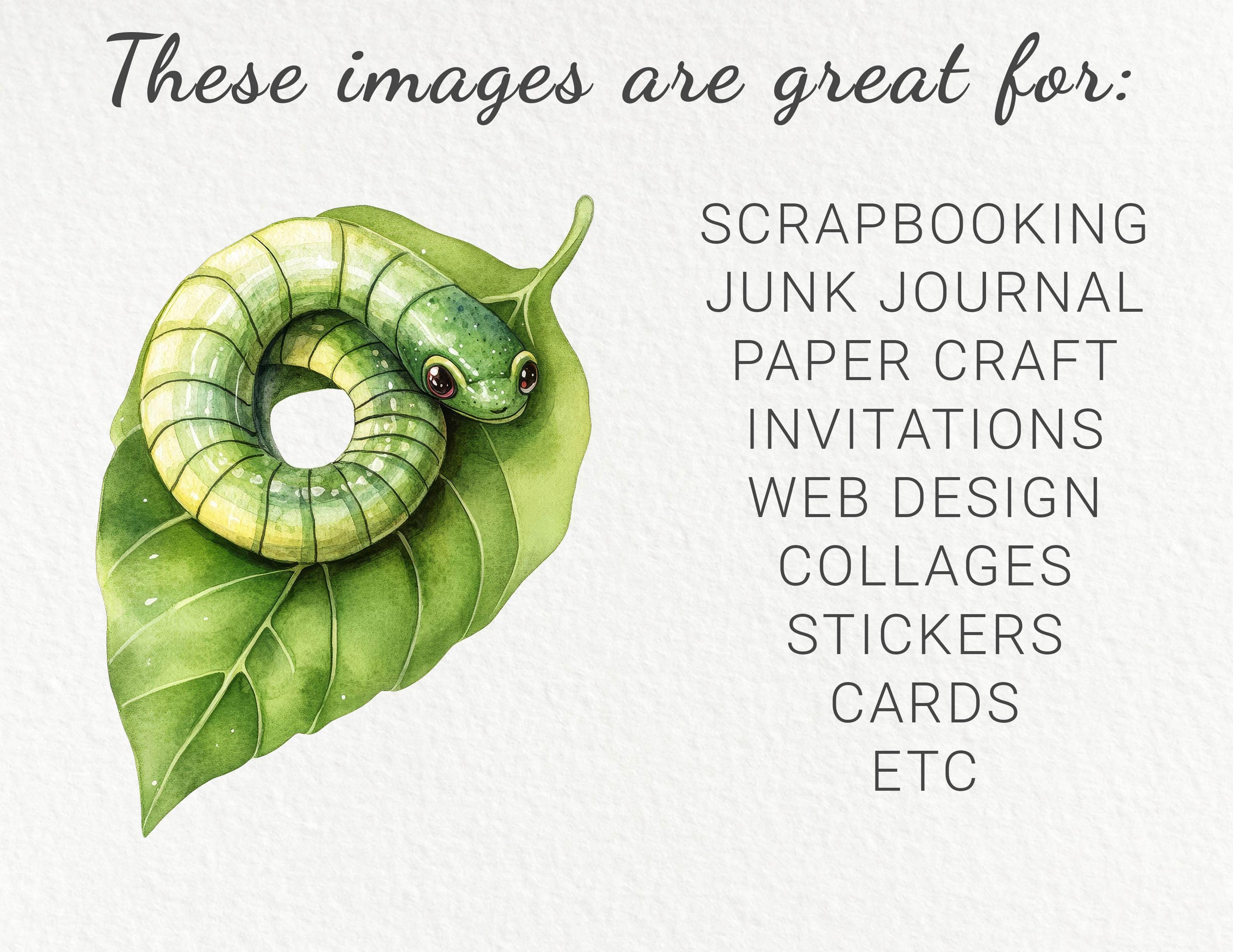Worm Watercolor Clipart - 24 PNG Cute Insects Clip Art, Funny Worms ...