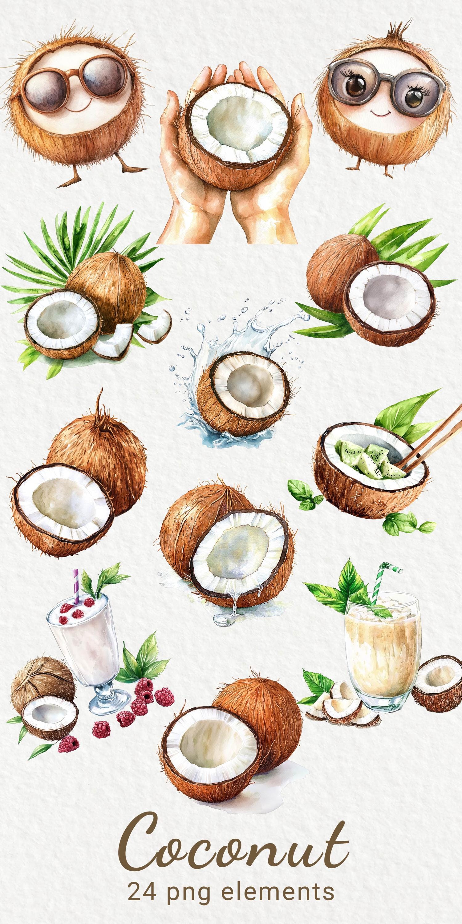 Coconut Watercolor Clipart - 24 PNG Funny Coconut Images, Illustration ...