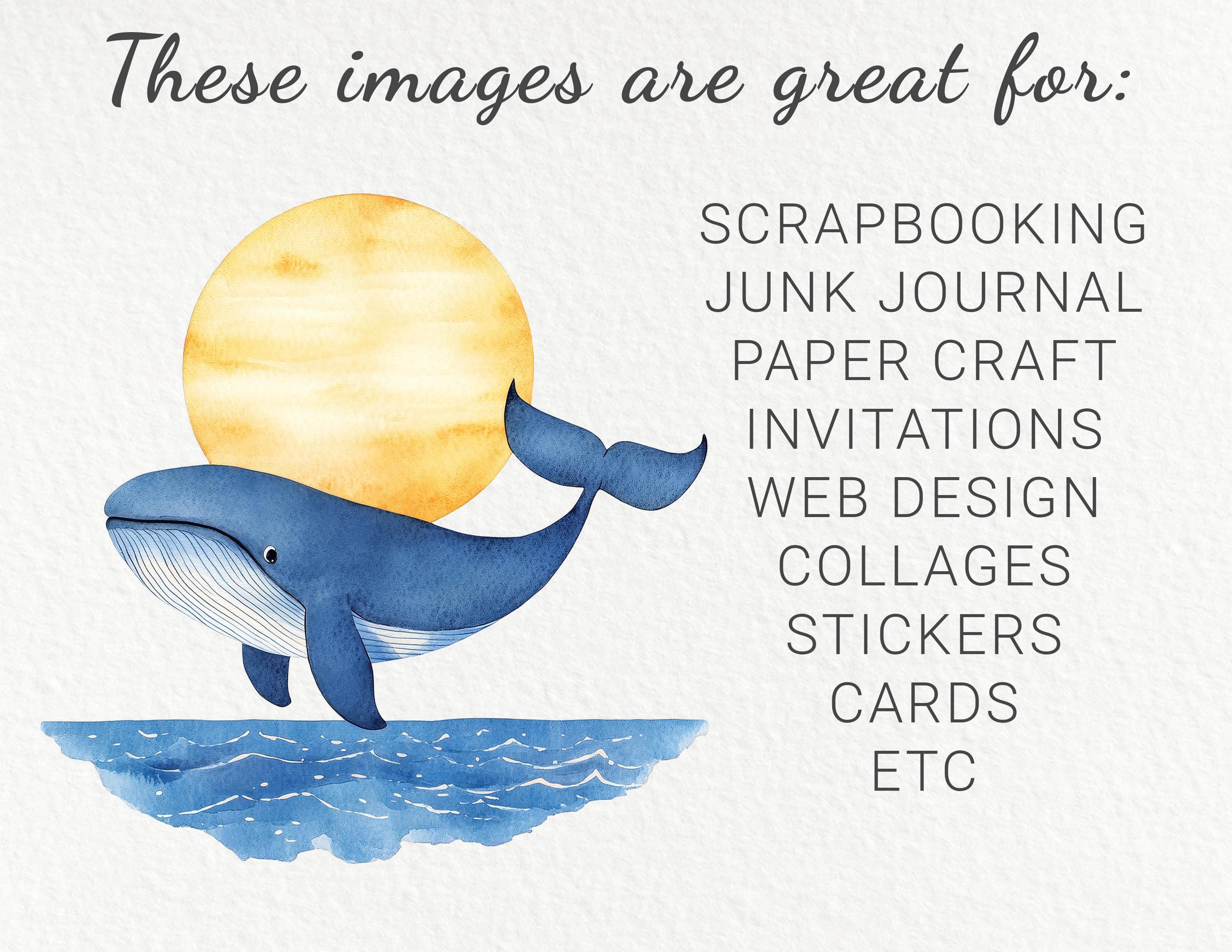 Whale Clipart - 24 PNG Cute Marine Decor Clip Art Nursery Watercolor ...