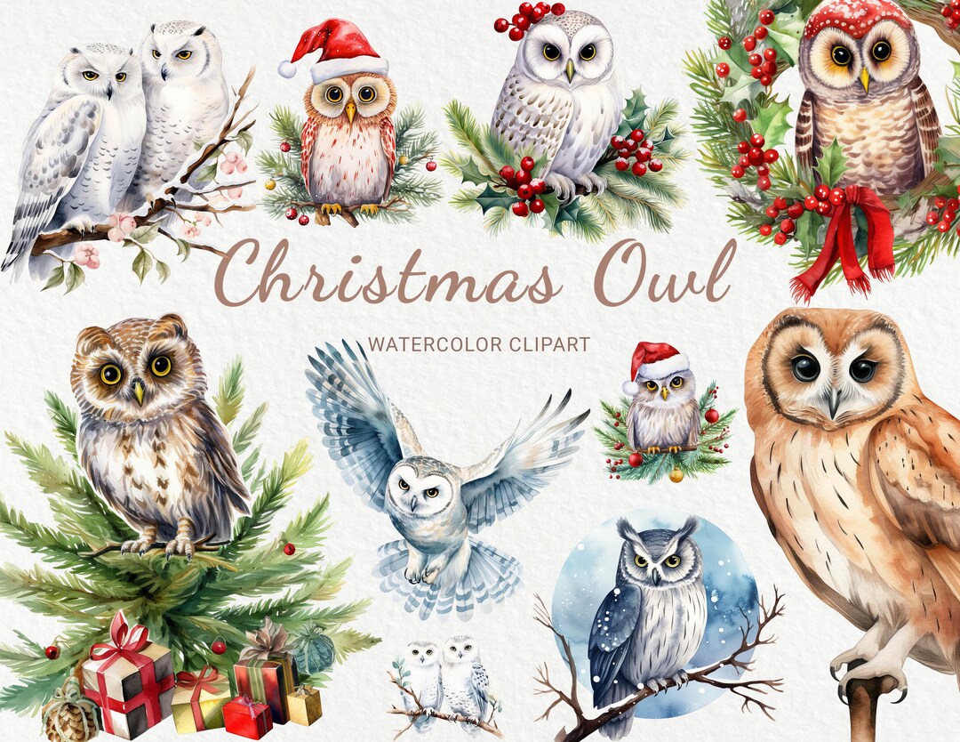 Christmas Owl Watercolor Clipart - 24 PNG Winter Decor Images, Animals ...