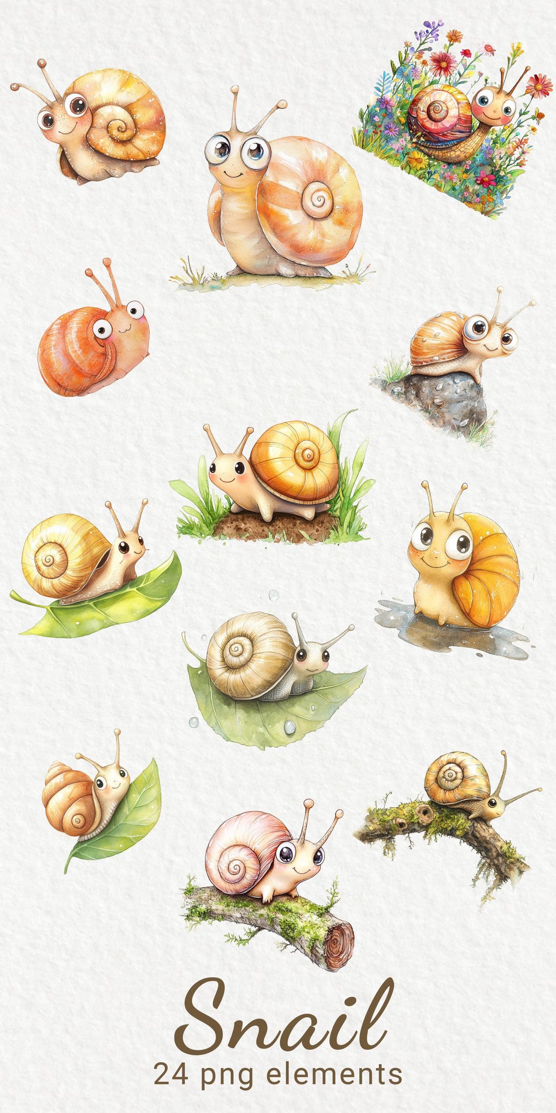 Snail Watercolor Clipart - 24 PNG Cute Snail Clip Art, Nature Clipart ...