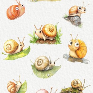 Snail Watercolor Clipart - 24 PNG Cute Snail Clip Art, Nature Clipart ...