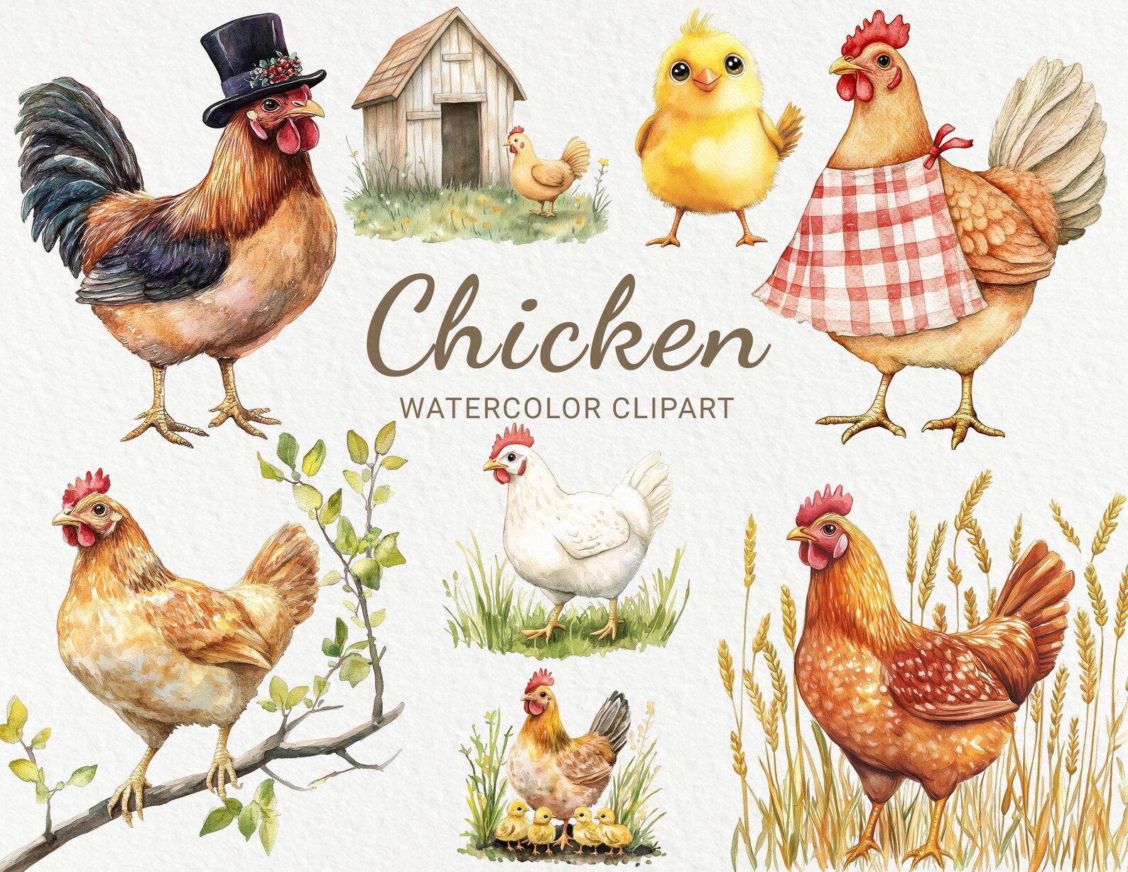 Chicken Watercolor Clipart - 24 PNG Cute Hen Clip Art, Farm Birds ...