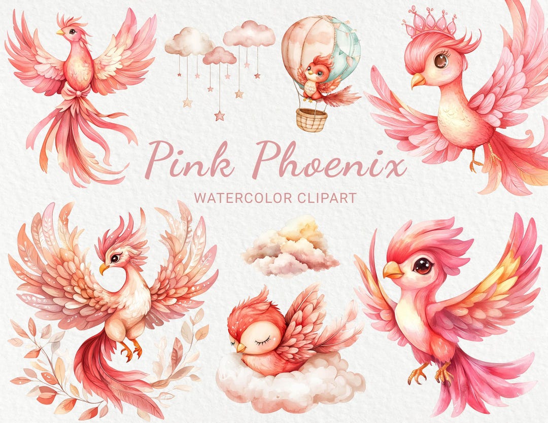 Pink Phoenix Nursery Watercolor Clipart - 24 PNG Fairy Majestic Birds ...