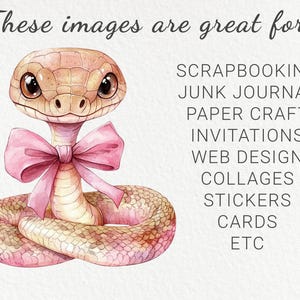 Pink Snake Nursery Watercolor Clipart - 24 PNG Cute Snake, Animals ...