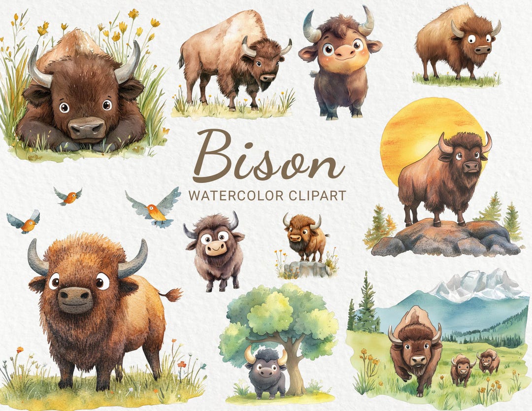 Bison Clipart - 24 PNG Watercolor Baby Bison Clip Art, Funny Animals ...