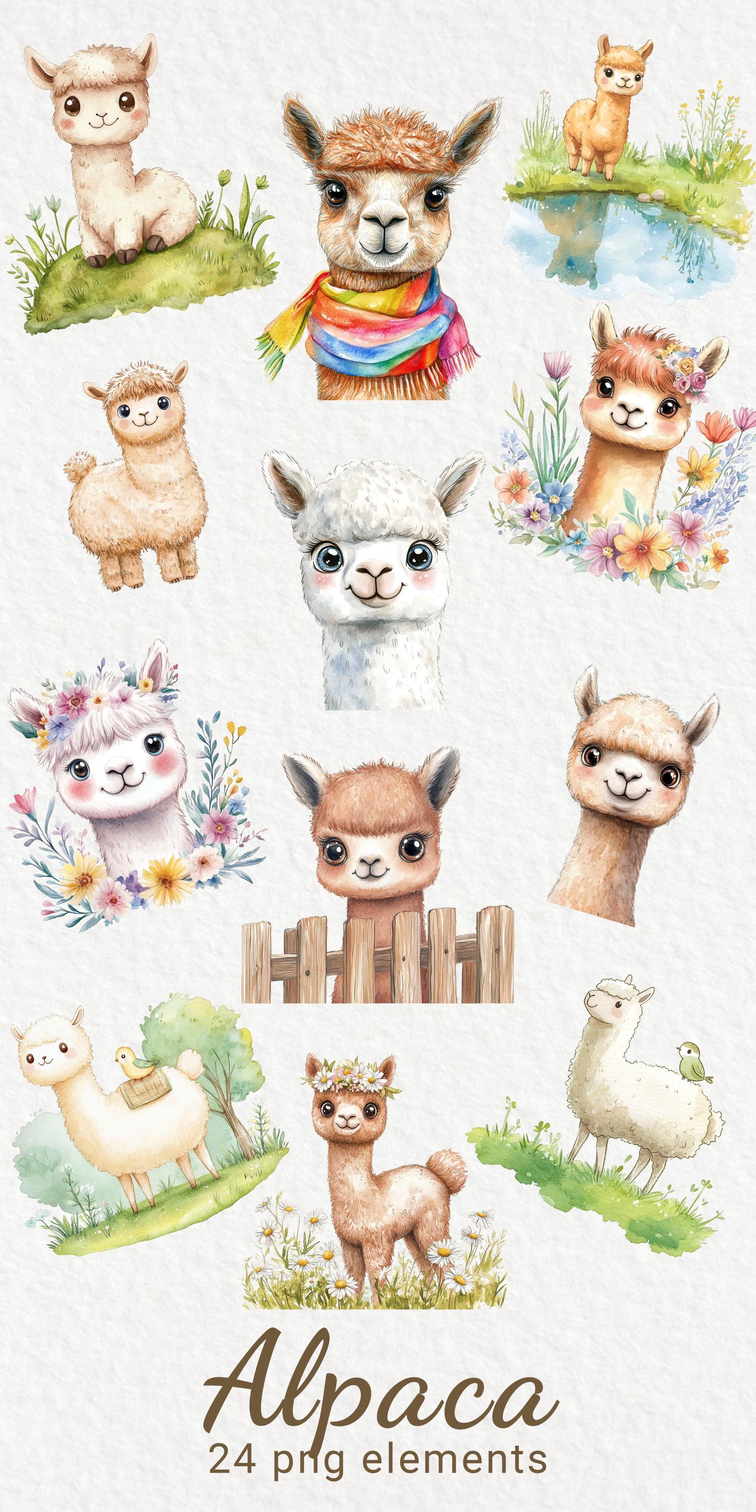 Watercolor Baby Alpaca Clipart – Farm Animal PNG Images (digital ...