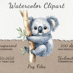 Koala Nursery Watercolor Clipart - 24 PNG Cute Koala Bear, Animals ...