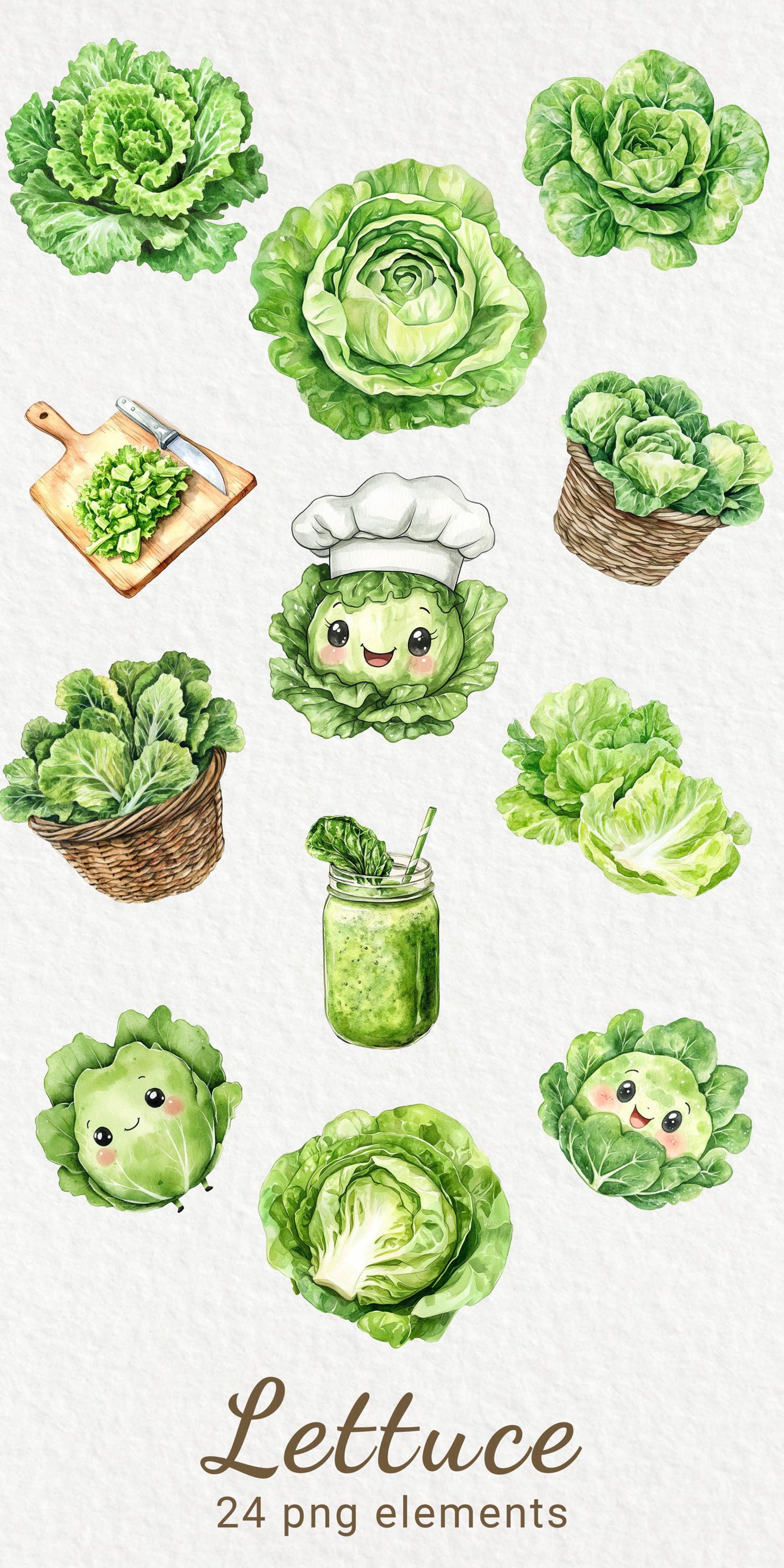 Lettuce Watercolor Clipart - 24 PNG Funny Lettuce Illustration, Cool ...