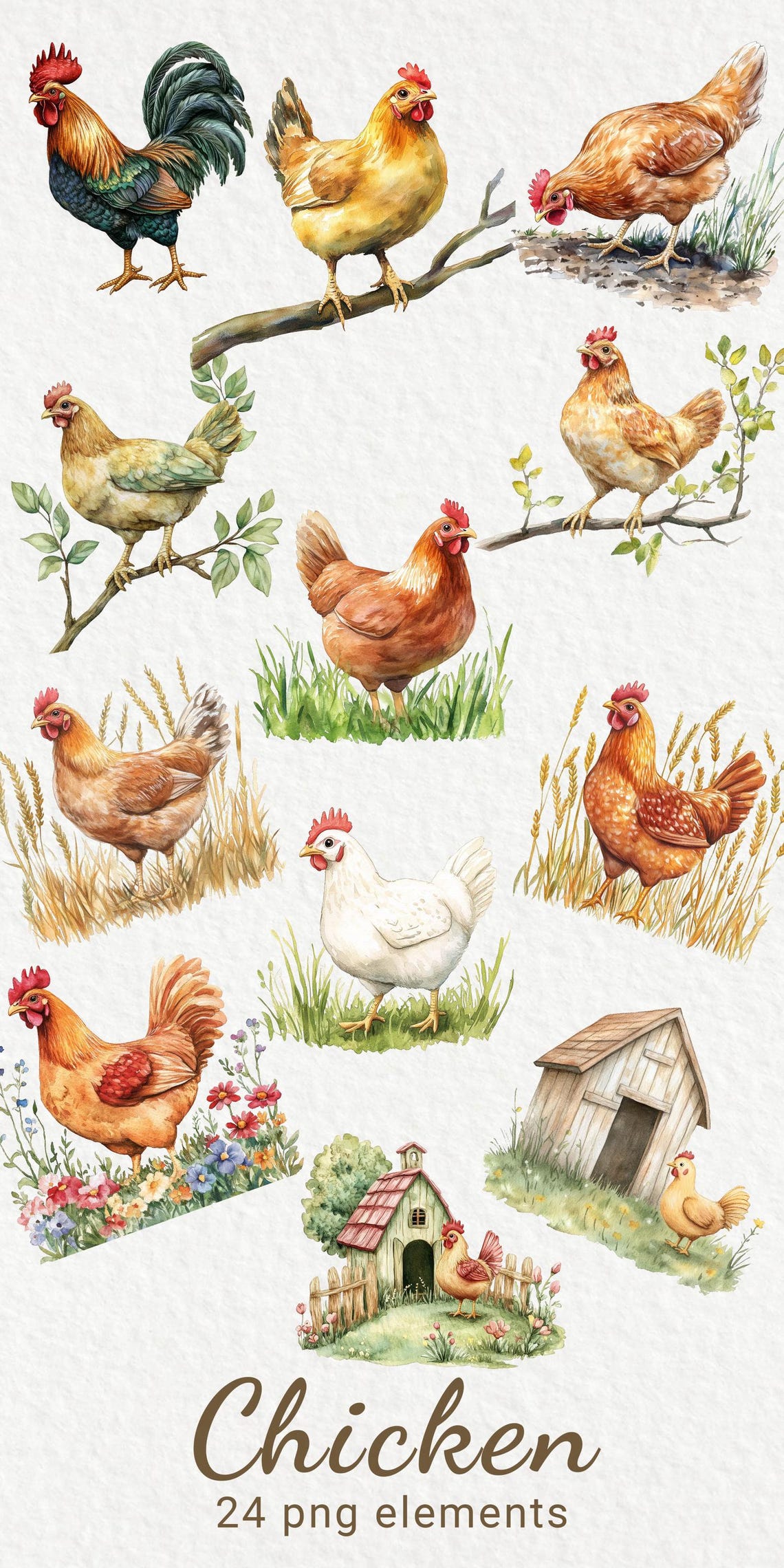 Chicken Watercolor Clipart - 24 PNG Cute Hen Clip Art, Farm Birds ...