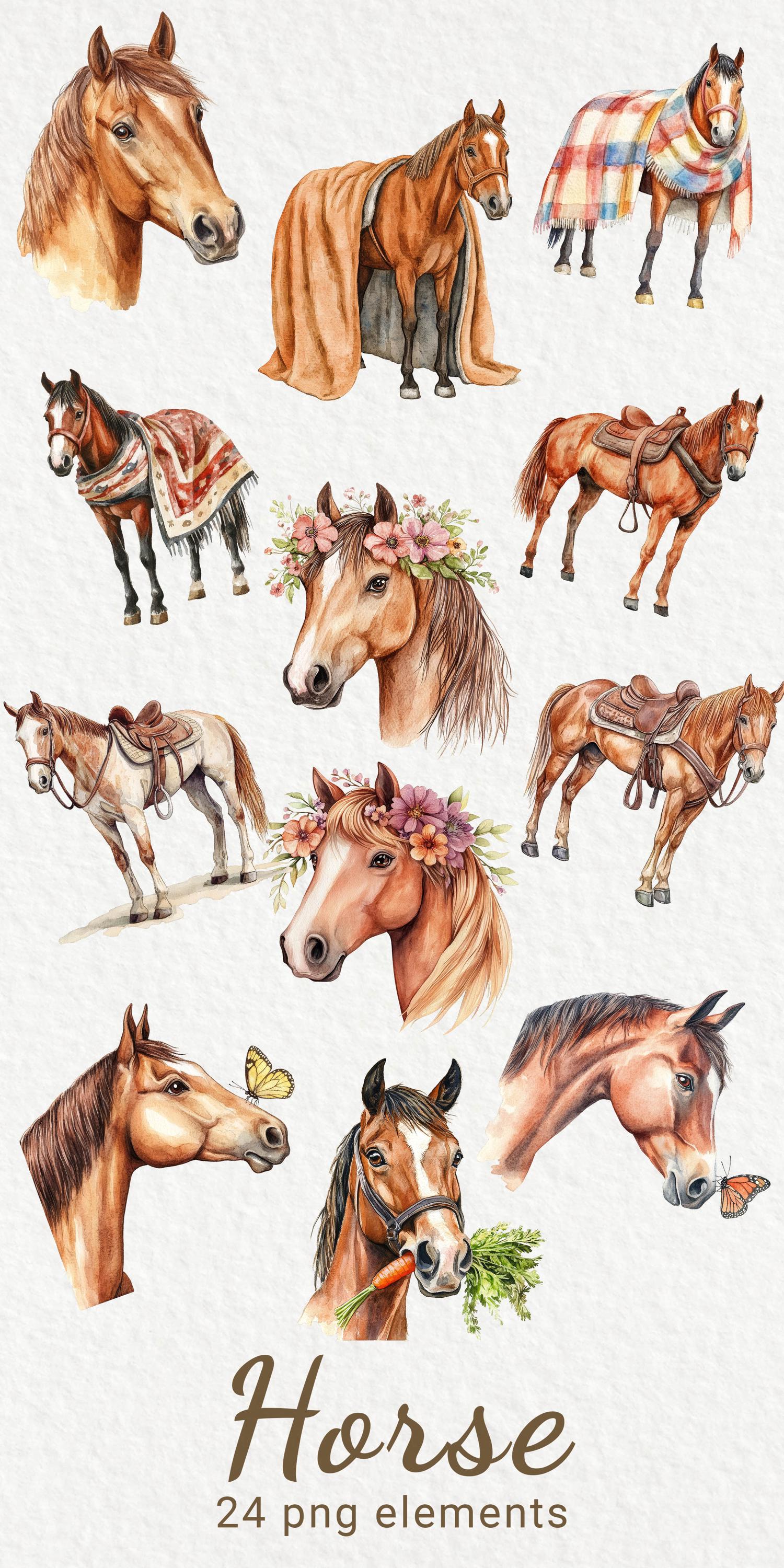 Horse Watercolor Clipart - 24 PNG Cute Animal Clip Art, Farm Animals ...