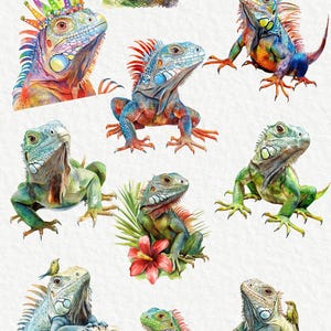 Iguana Clipart - 24 PNG Cute Watercolor Lizard Clip Art, Digital Prints ...