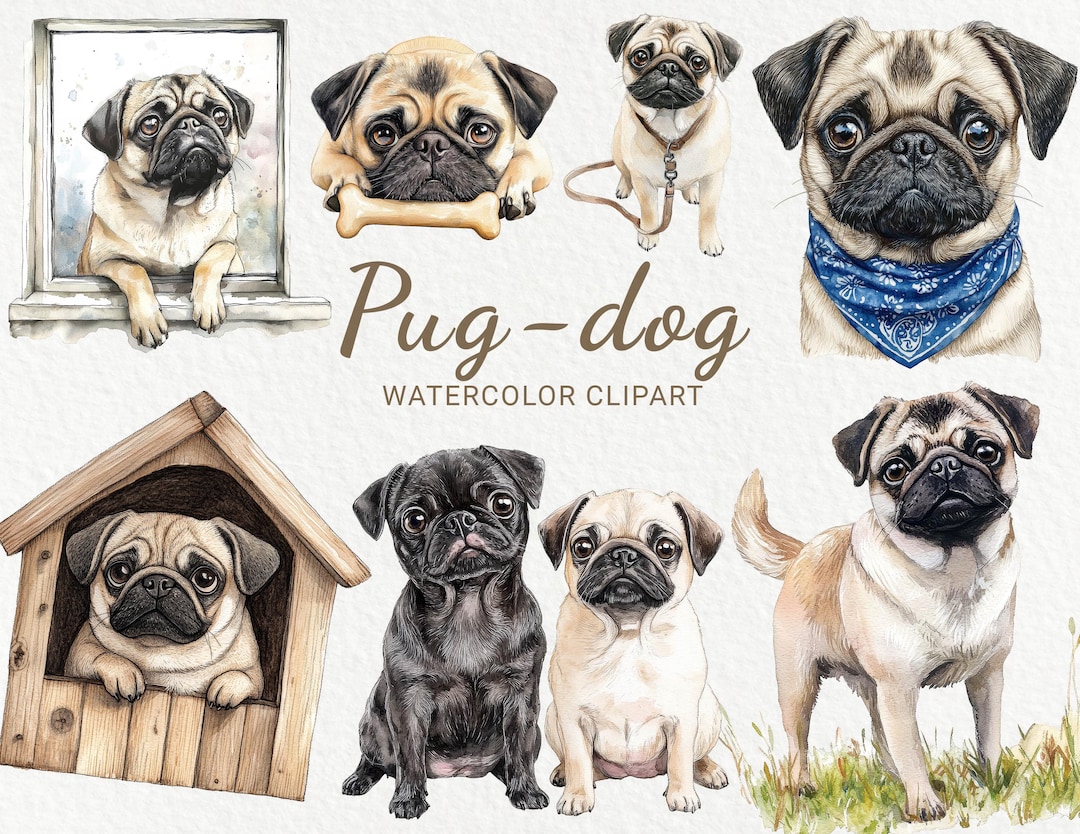 Pug Watercolor Clipart - 24 PNG Cute Dog Clip Art, Dog Breeds Clip Art ...