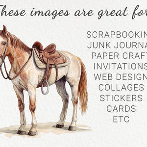 Horse Watercolor Clipart - 24 PNG Cute Animal Clip Art, Farm Animals ...