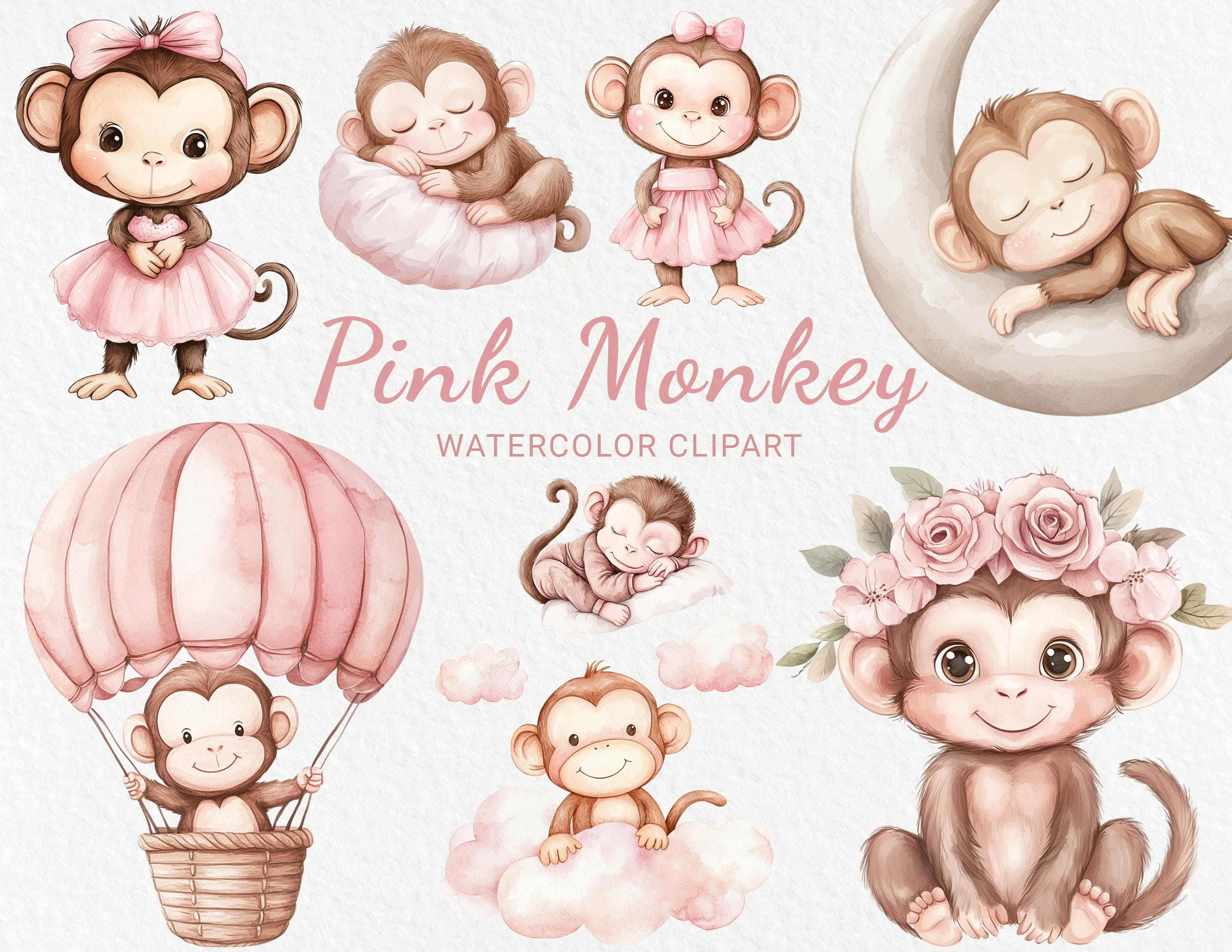 Pink Monkey Watercolor Clipart - 24 PNG Safari Animals Kids Room Decor ...
