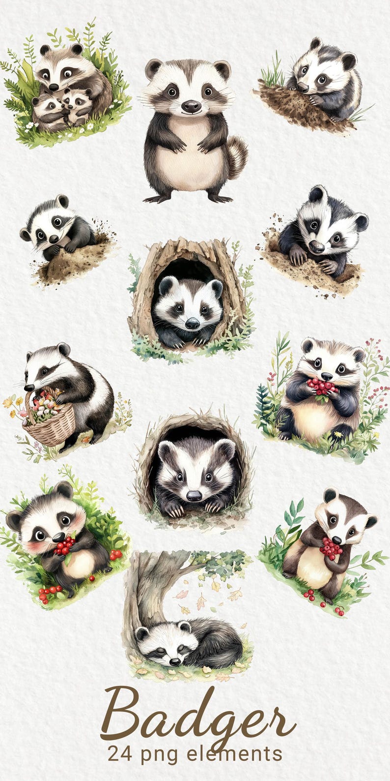 Badger Clipart - 24 PNG Watercolor Baby Badger Clip Art, Woodland ...