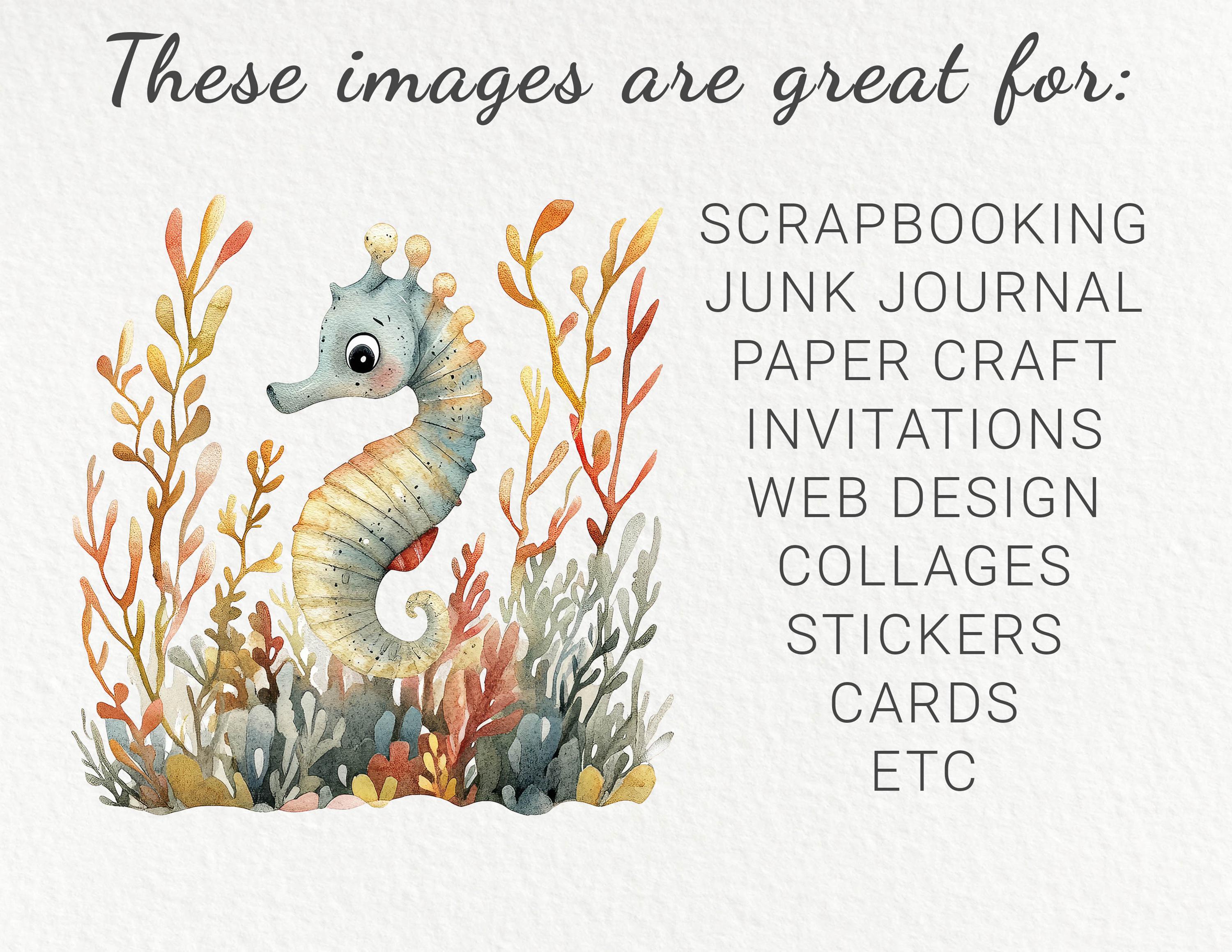 Seahorse Watercolor Clipart - 24 PNG Cute Sea Horse Clip Art, Marine ...