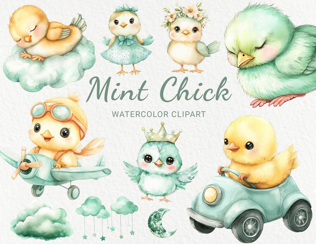 Green Chick Watercolor Clipart - 24 PNG Cute Birds Decor in Mint Color ...