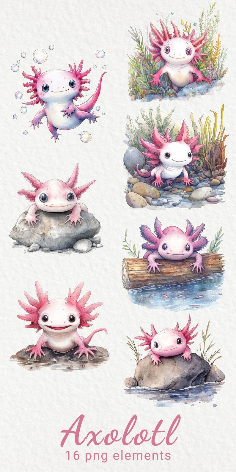 Axolotl Watercolor Clipart - 16 PNG Cute Axolotl Clip Art, Marine ...