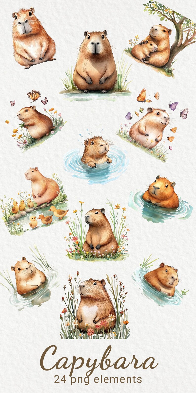 Capybara Watercolor Clipart - 24 PNG Cute Capybara Nursery Decor ...