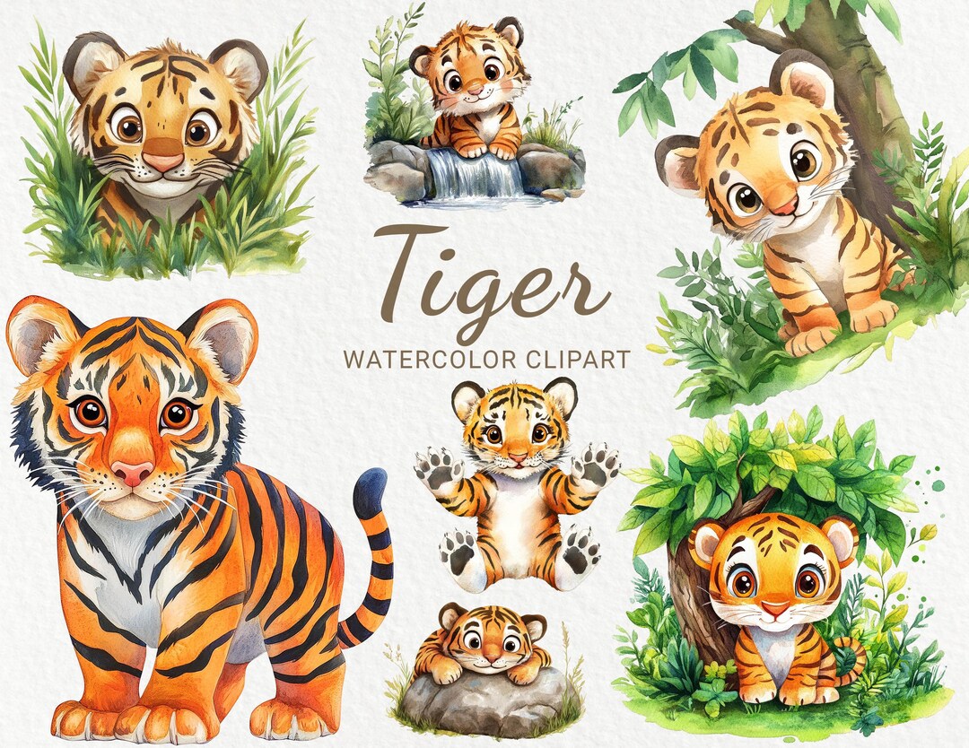 Tiger Clipart - 24 PNG Watercolor Baby Tiger Clip Art, Funny Safari ...