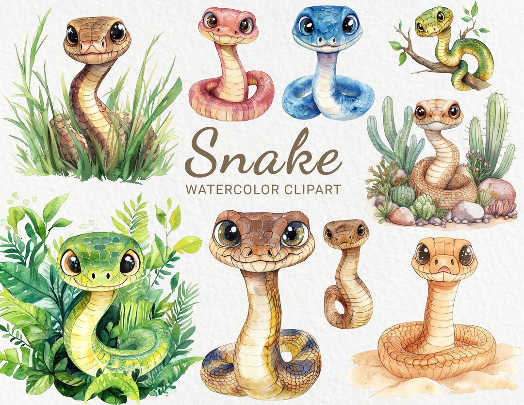 Colorful Snake Clipart - 24 PNG Cute Nursery Watercolor Decor, Baby ...