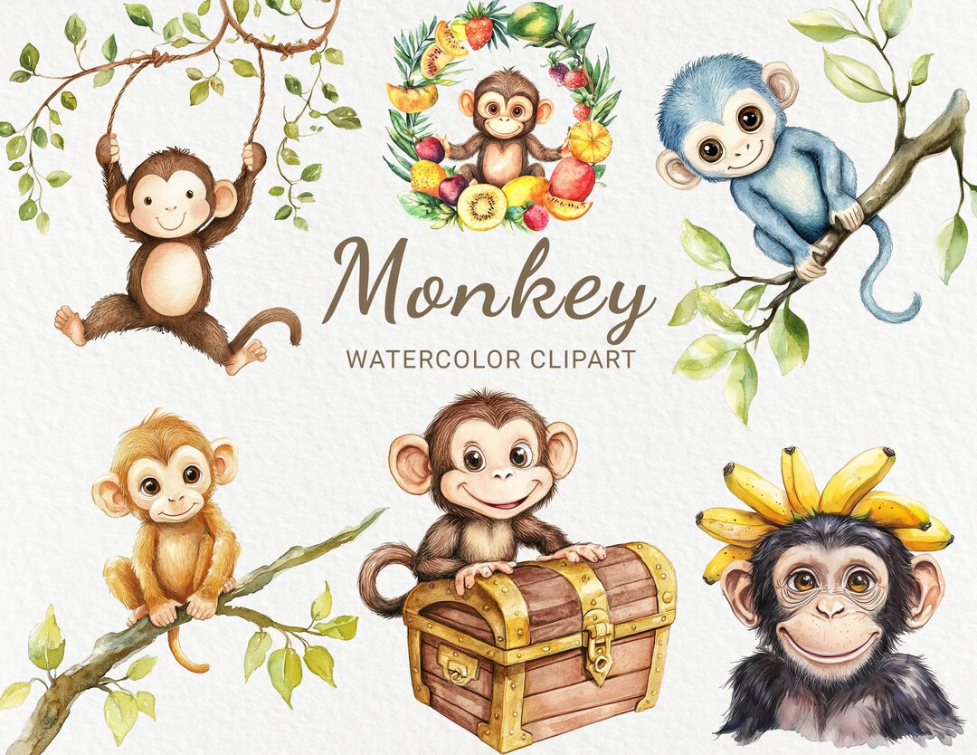 Monkey Watercolor Clipart - 24 PNG Safari Animal Clip Art, Digital ...