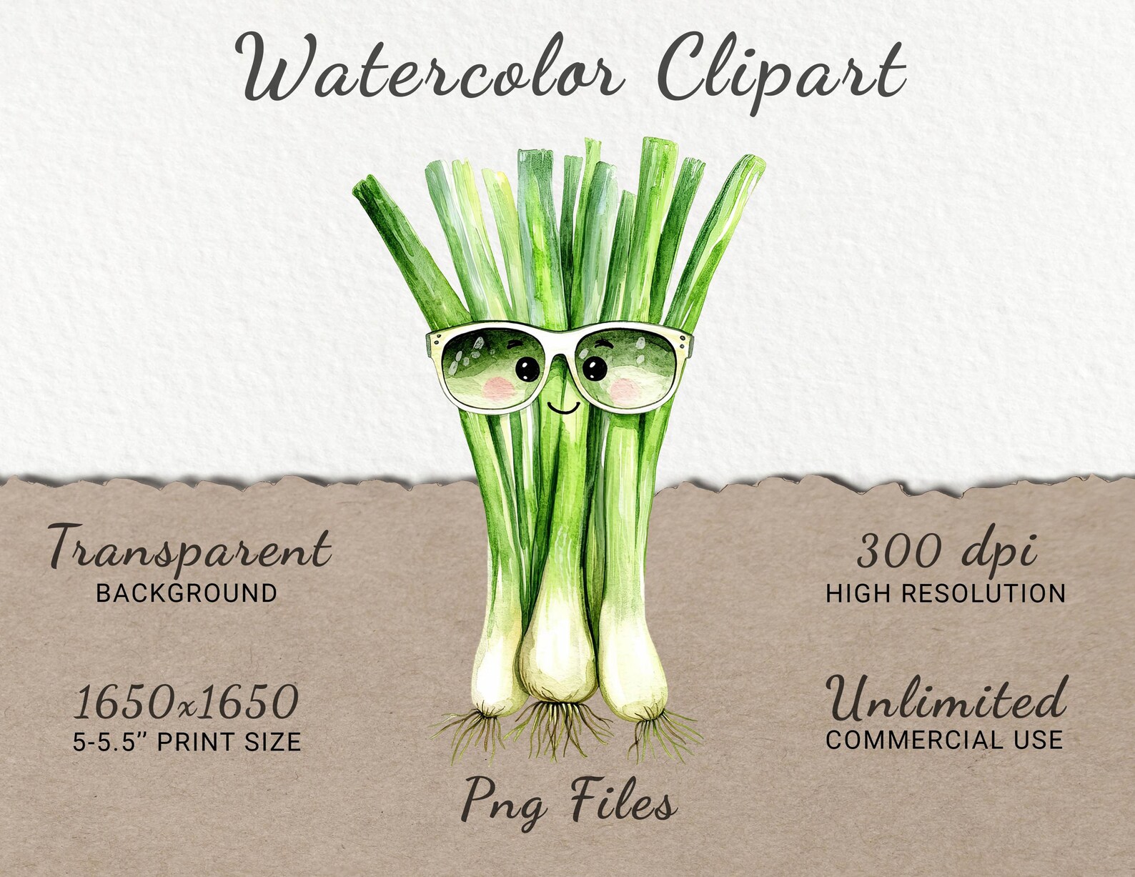 Green Onions Watercolor Clipart - 24 PNG Funny Onions Illustration ...