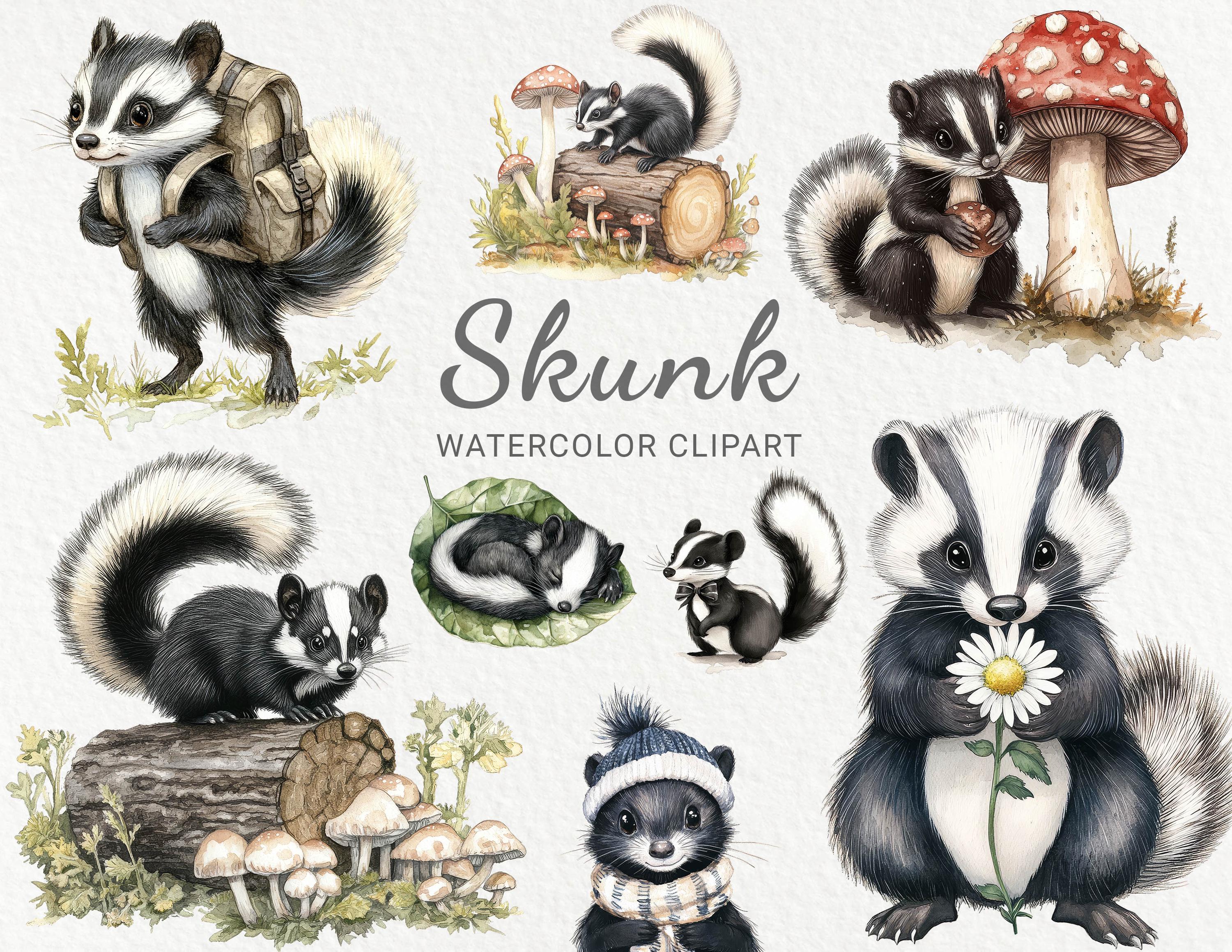 Skunk Watercolor Clipart - 24 PNG Cute Animals, Skunk Clip Art ...