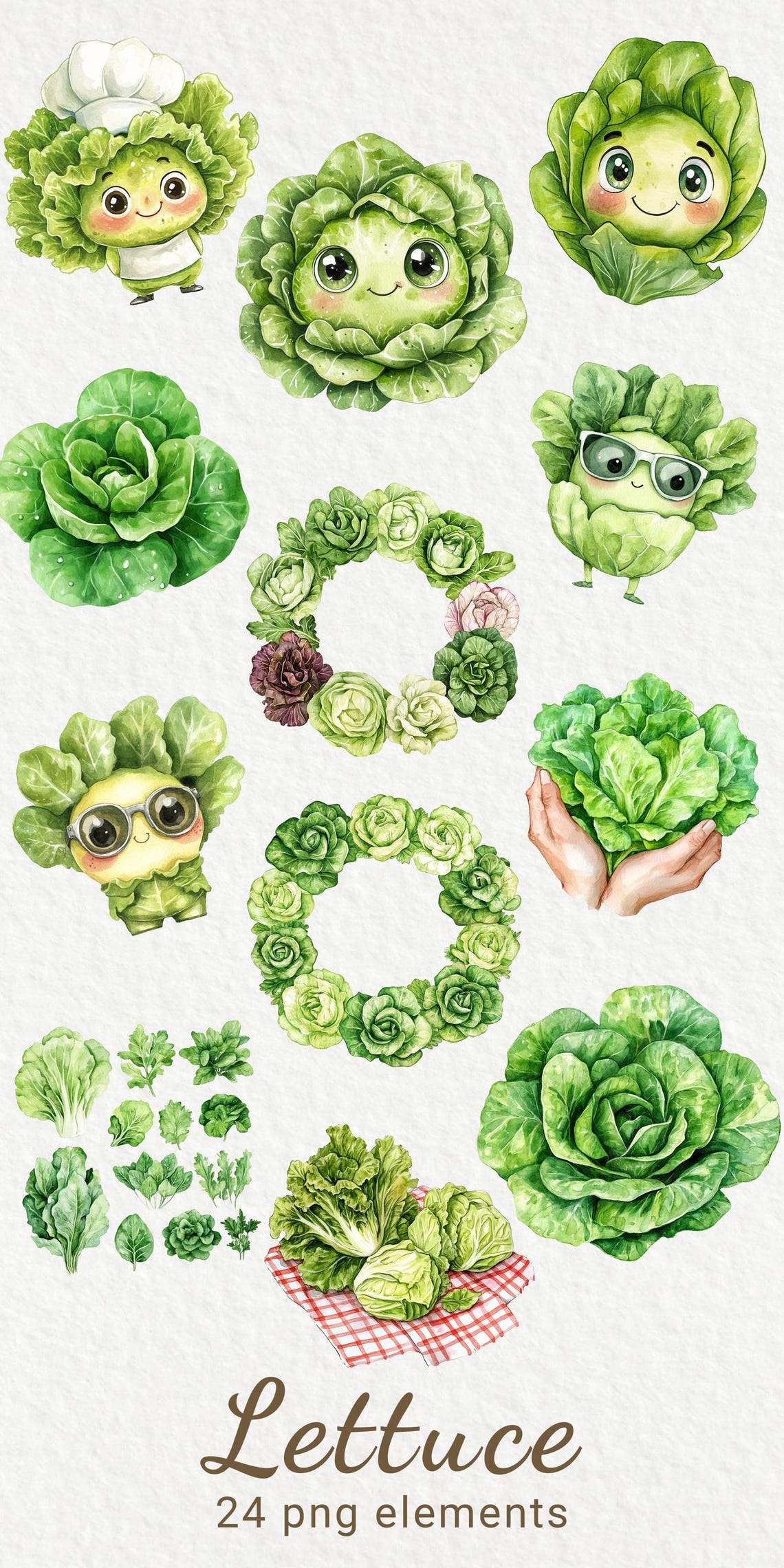 Lettuce Watercolor Clipart - 24 PNG Funny Lettuce Illustration, Cool ...