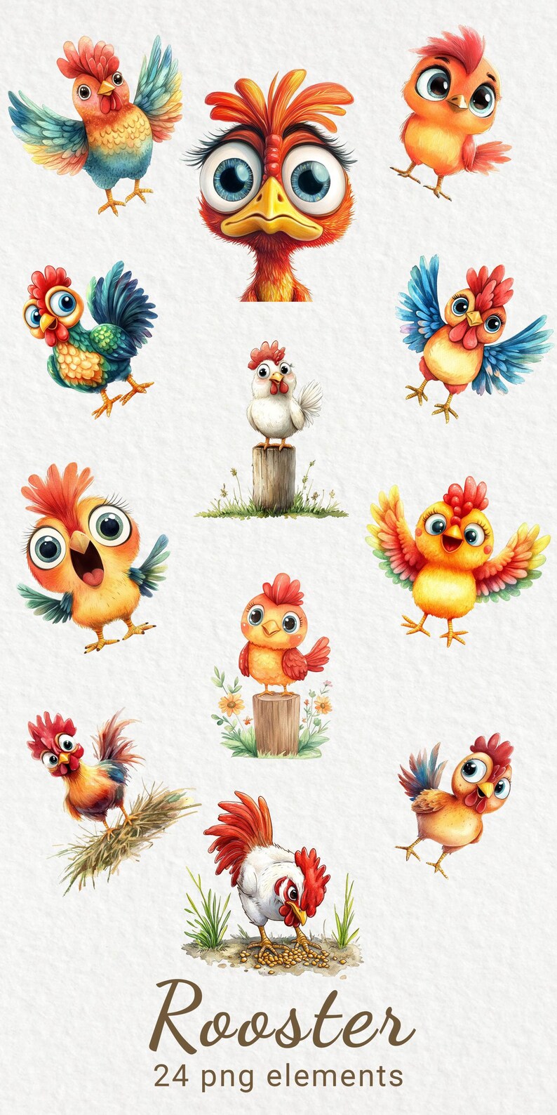 Rooster Watercolor Clipart - 24 PNG Cute Farm Birds Clip Art, Printable ...
