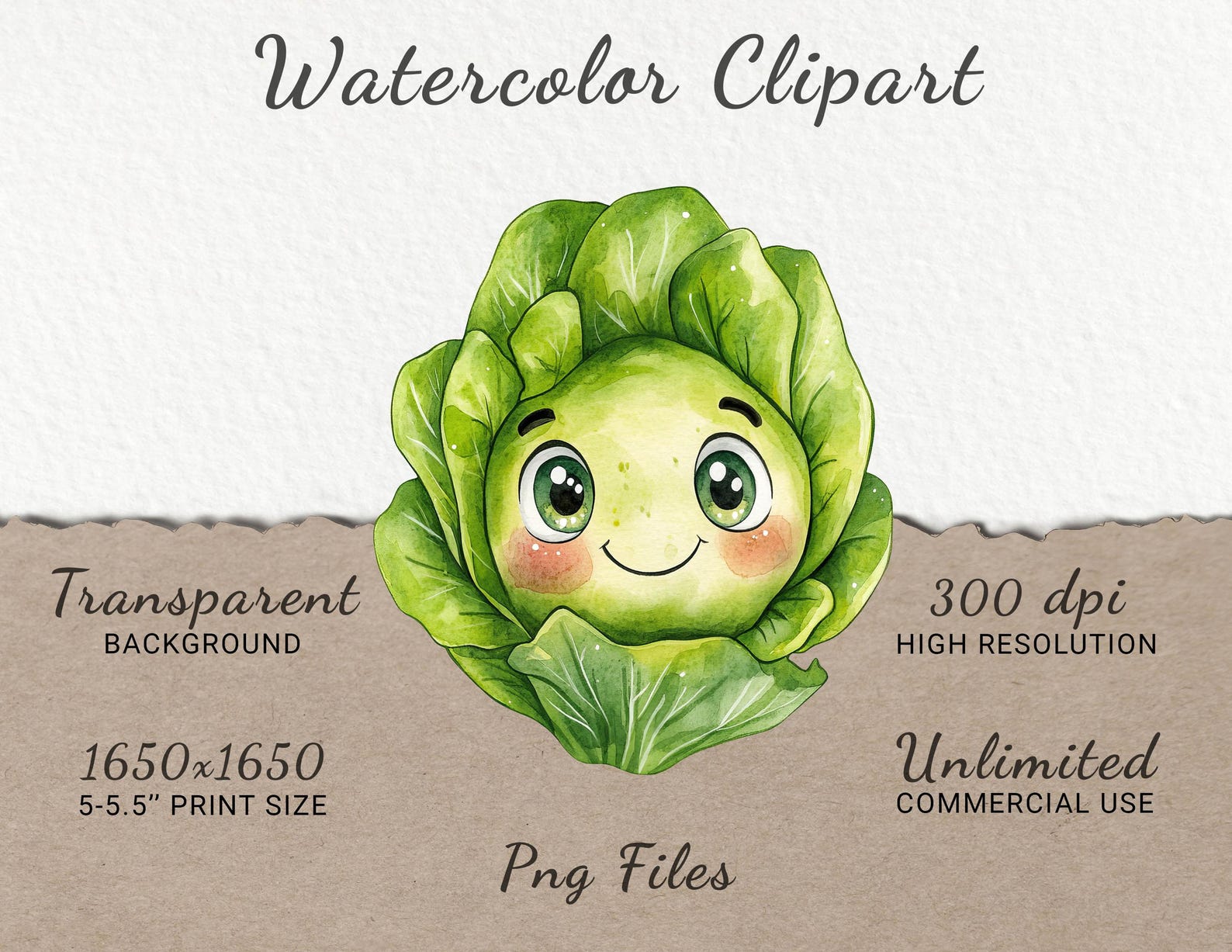 Lettuce Watercolor Clipart - 24 PNG Funny Lettuce Illustration, Cool ...