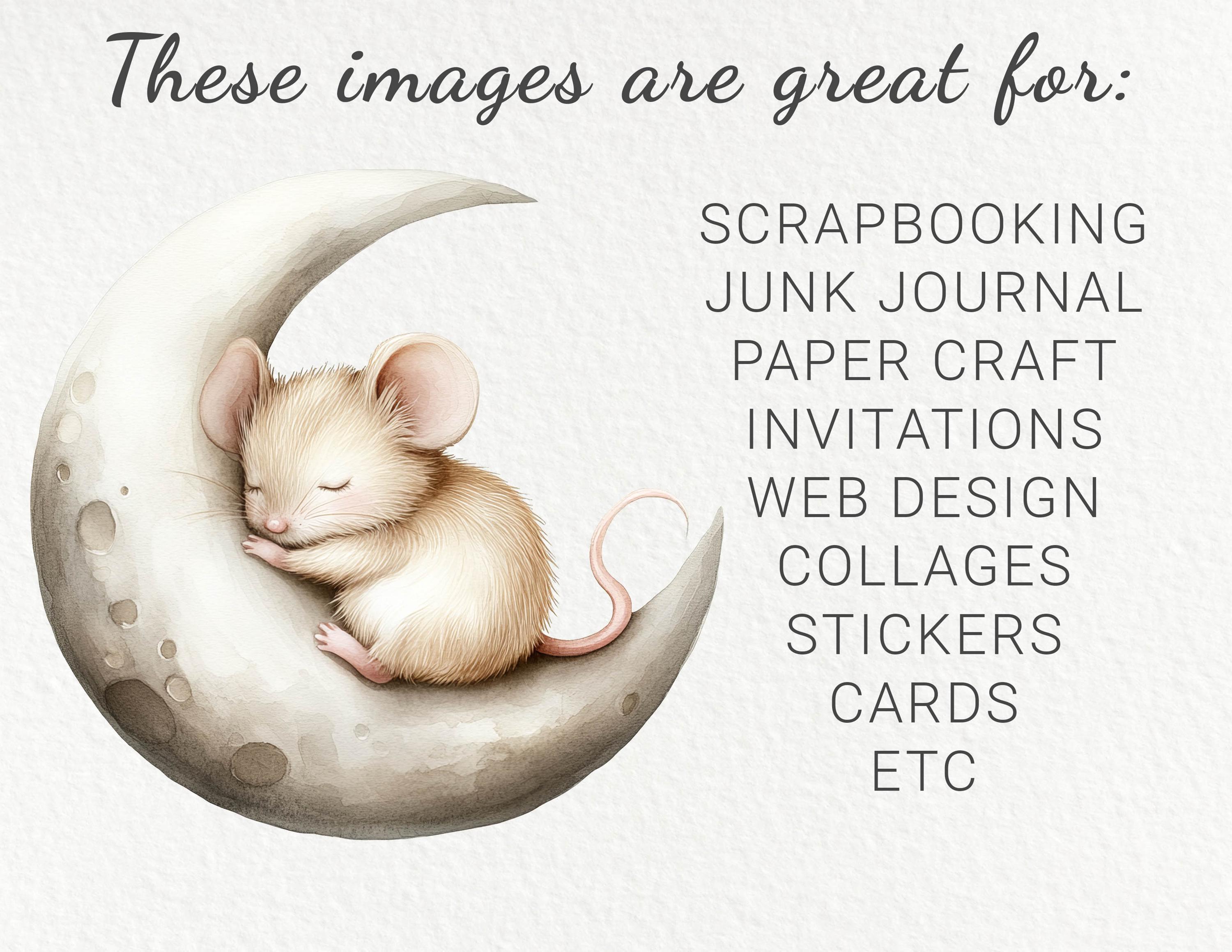 Pink Mouse Nursery Watercolor Clipart - 24 PNG Cute Fairy Animals Decor ...