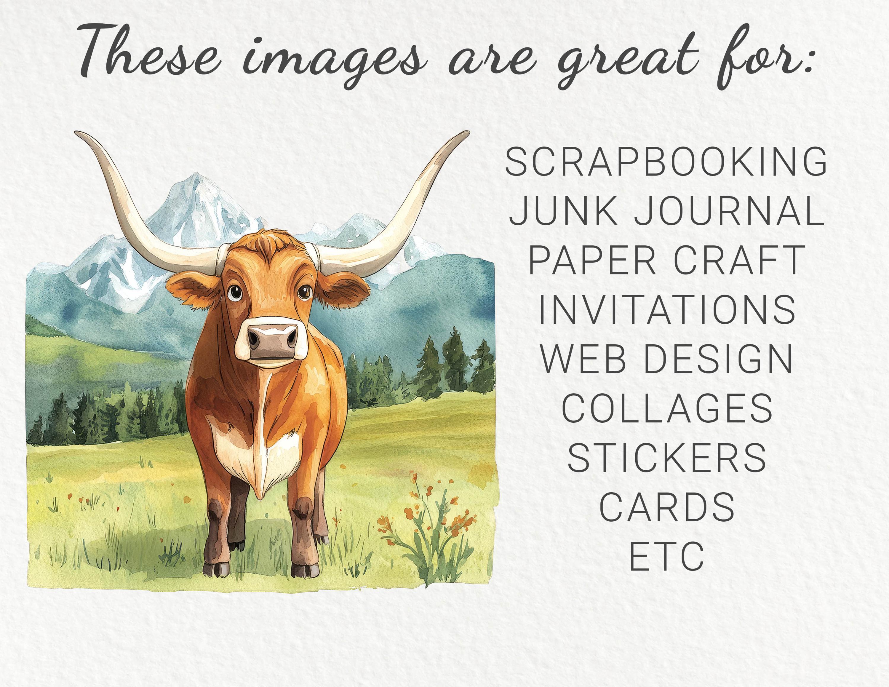 Longhorn Cow Clipart - 24 PNG Watercolor Baby Longhorn Cow Clip Art ...