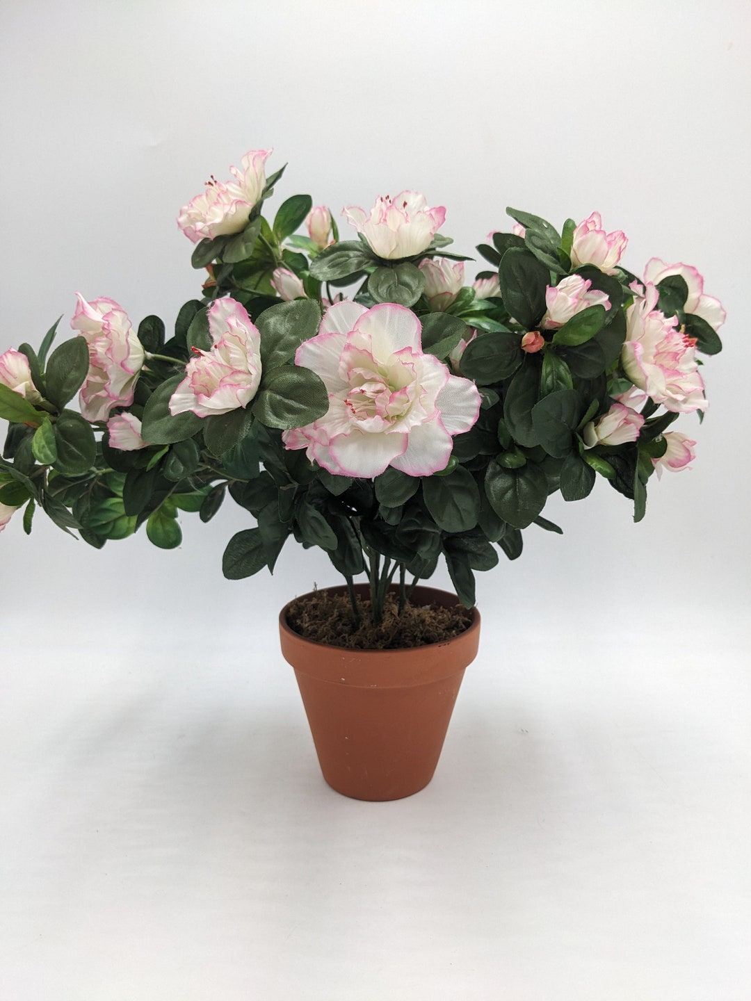 Summer Arrangement Azalea Pink - Etsy