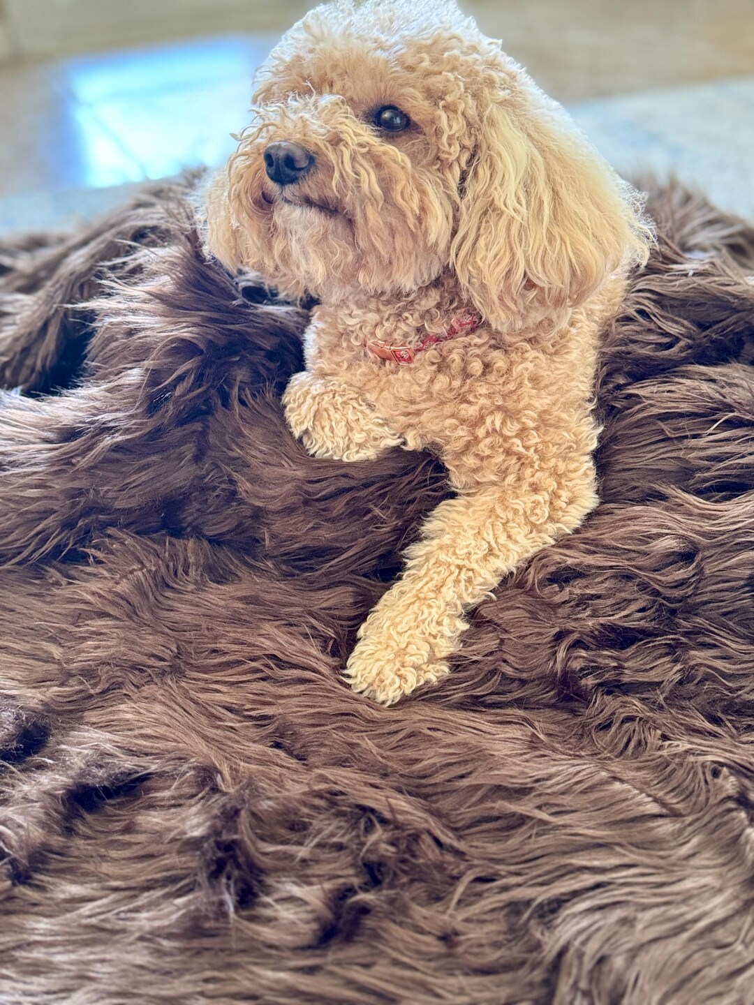 Faux Fur Fabric Plush Fabric Cosplay Fur Stuffed Animals Craft Fur ...