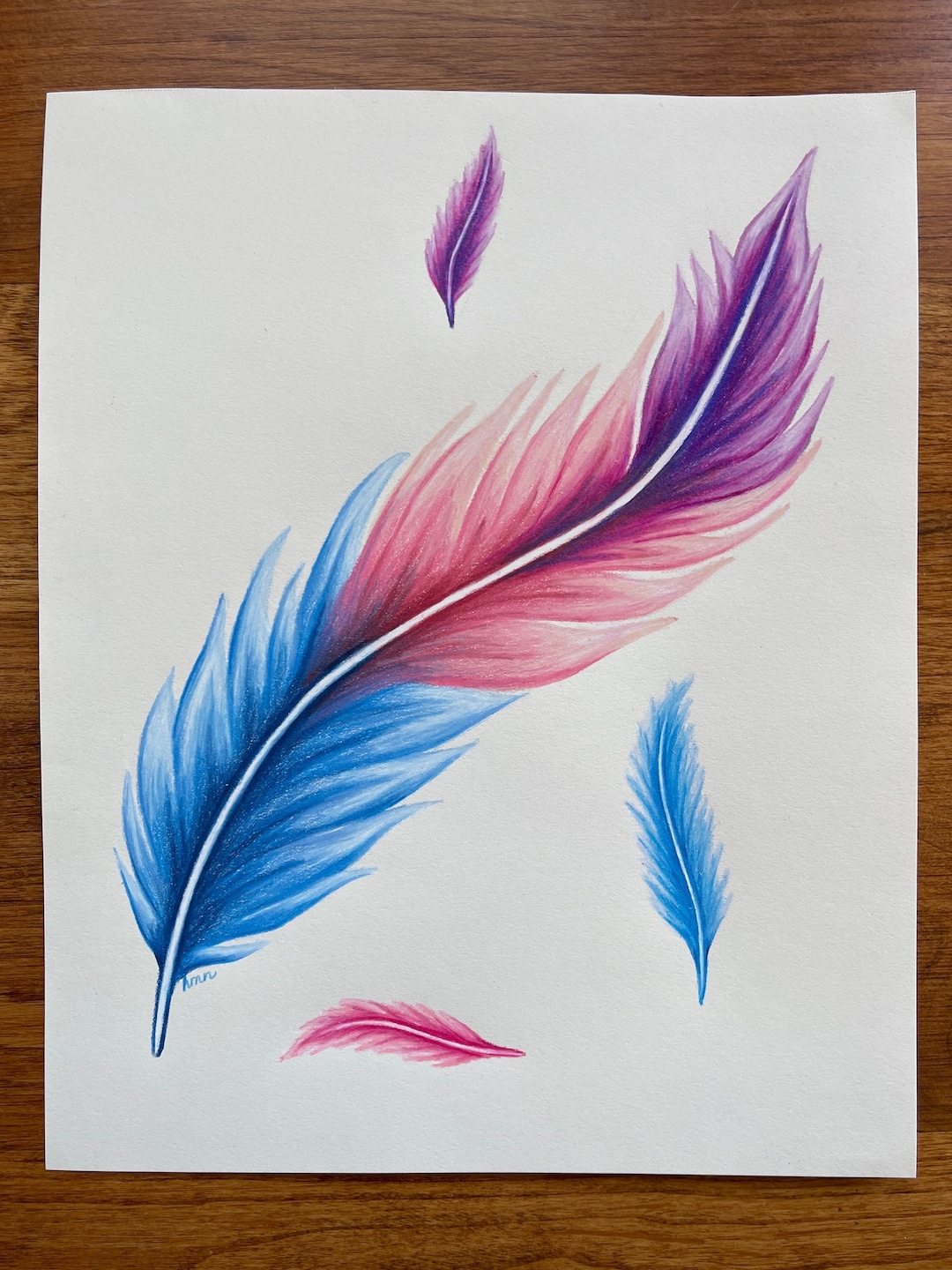Falling Feathers Original Colored Pencil Drawing - Etsy