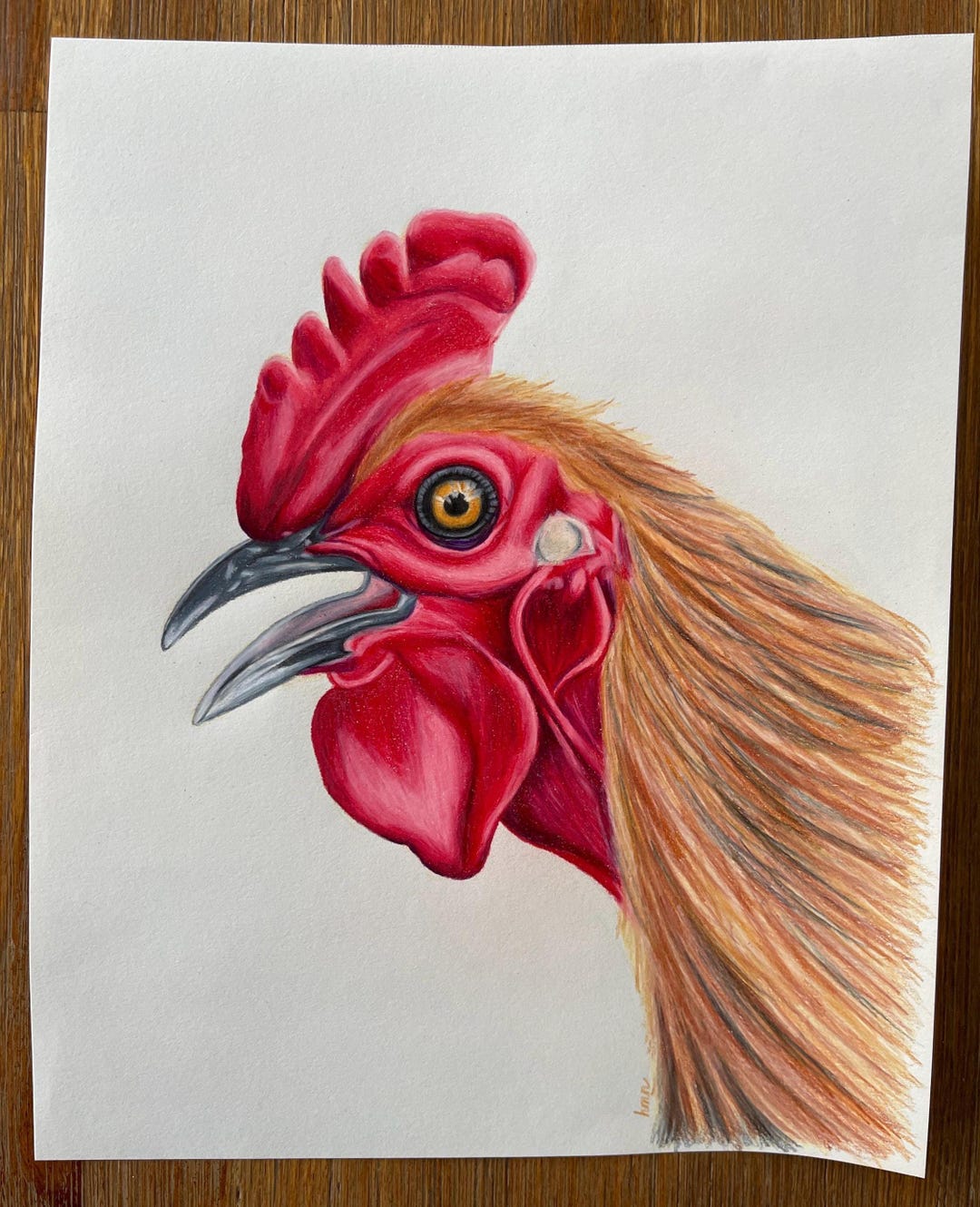 Talking Rooster Original Colored Pencil Drawing - Etsy