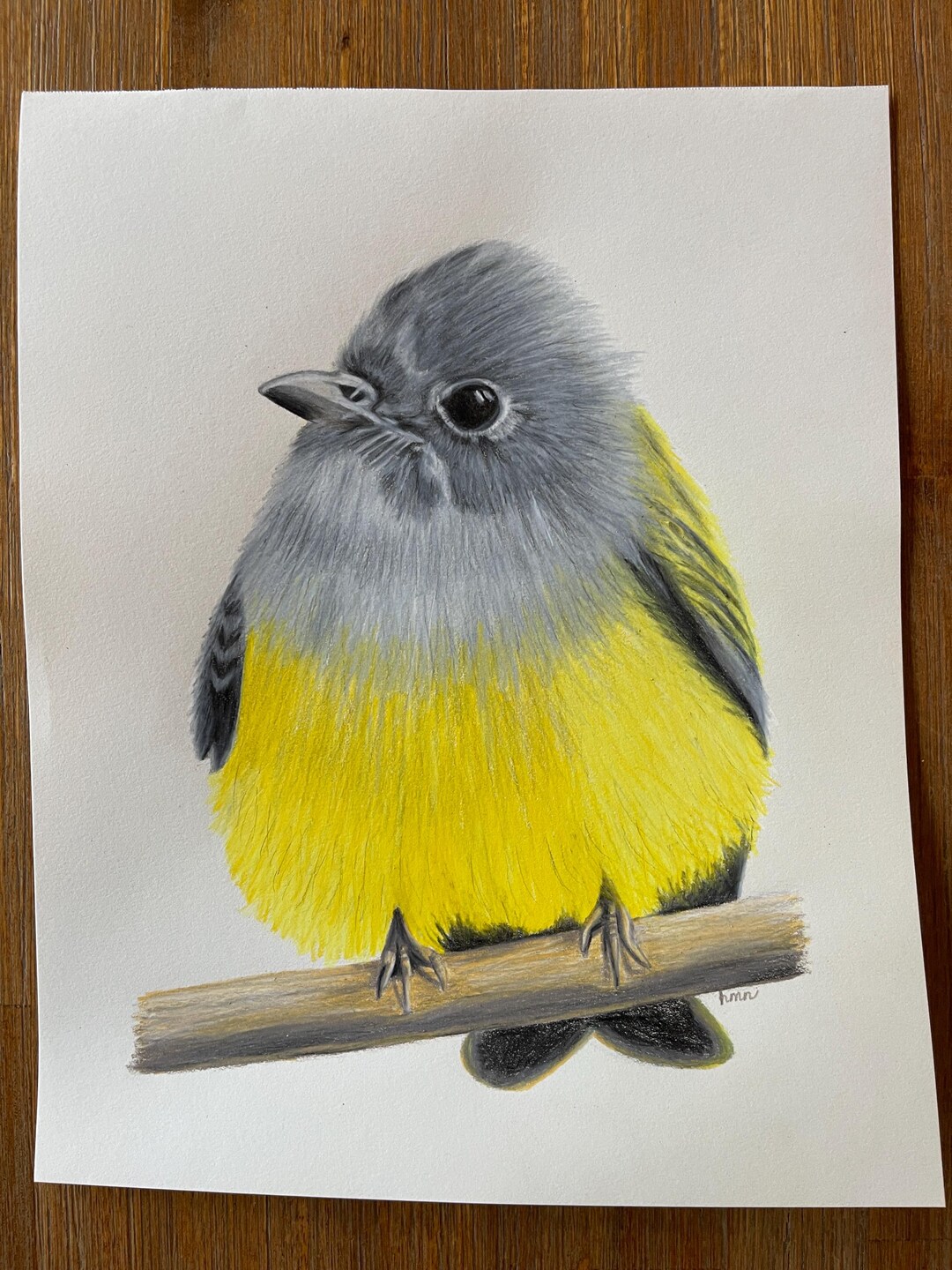 Fuzzy Bird Original Colored Pencil Drawing - Etsy