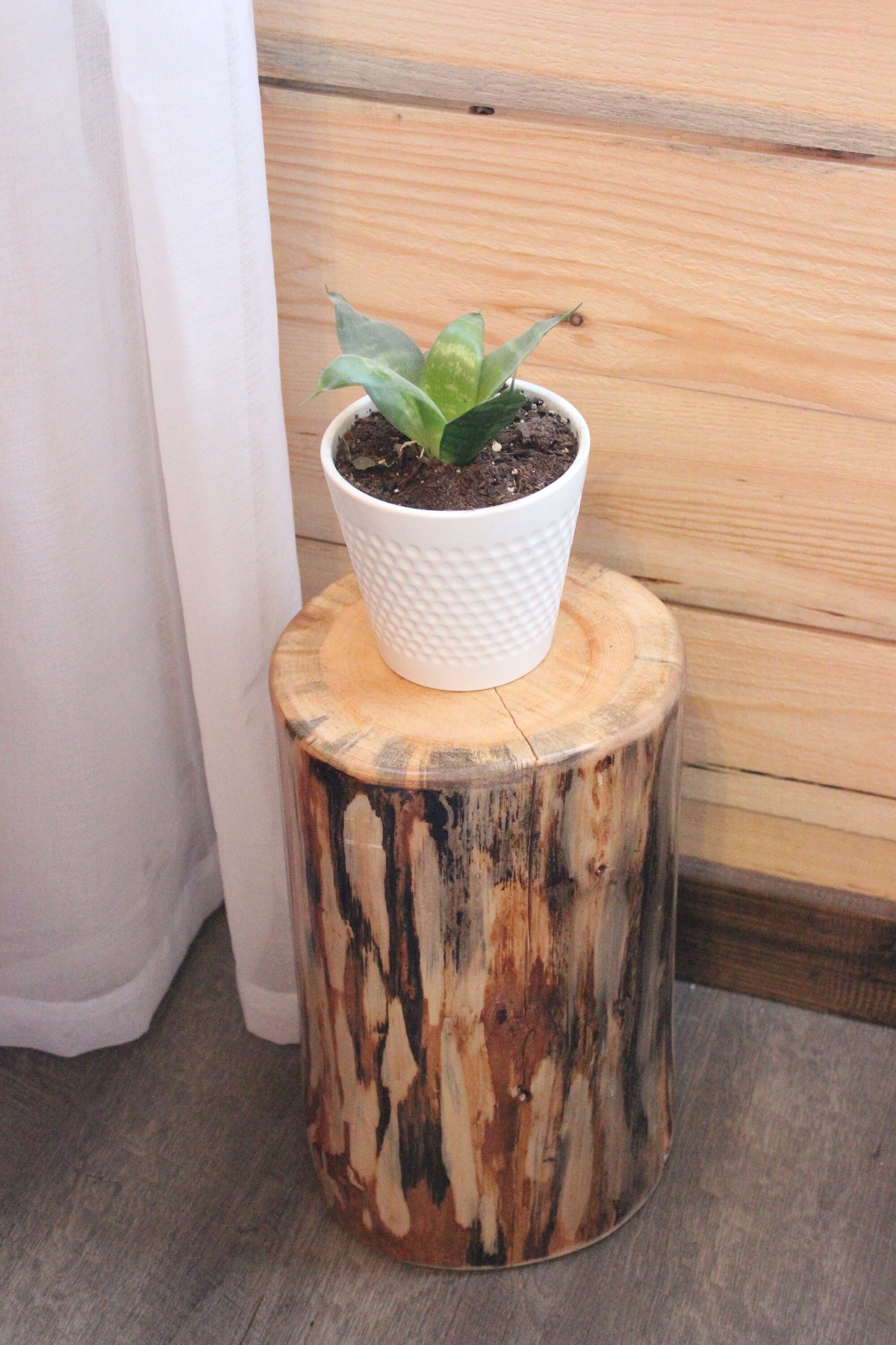 Lodgepole Plant Stand Stumps | Etsy