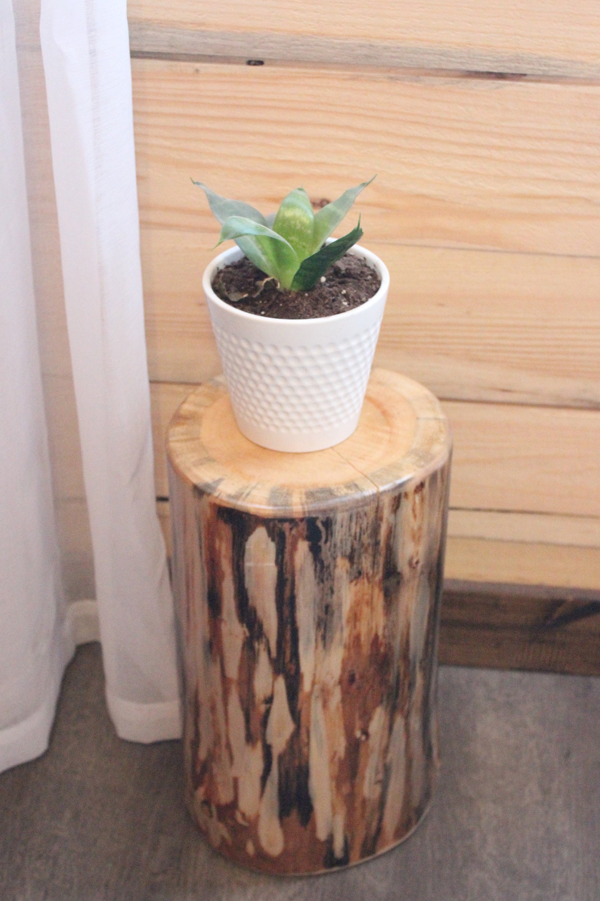 Lodgepole Plant Stand Stumps - Etsy