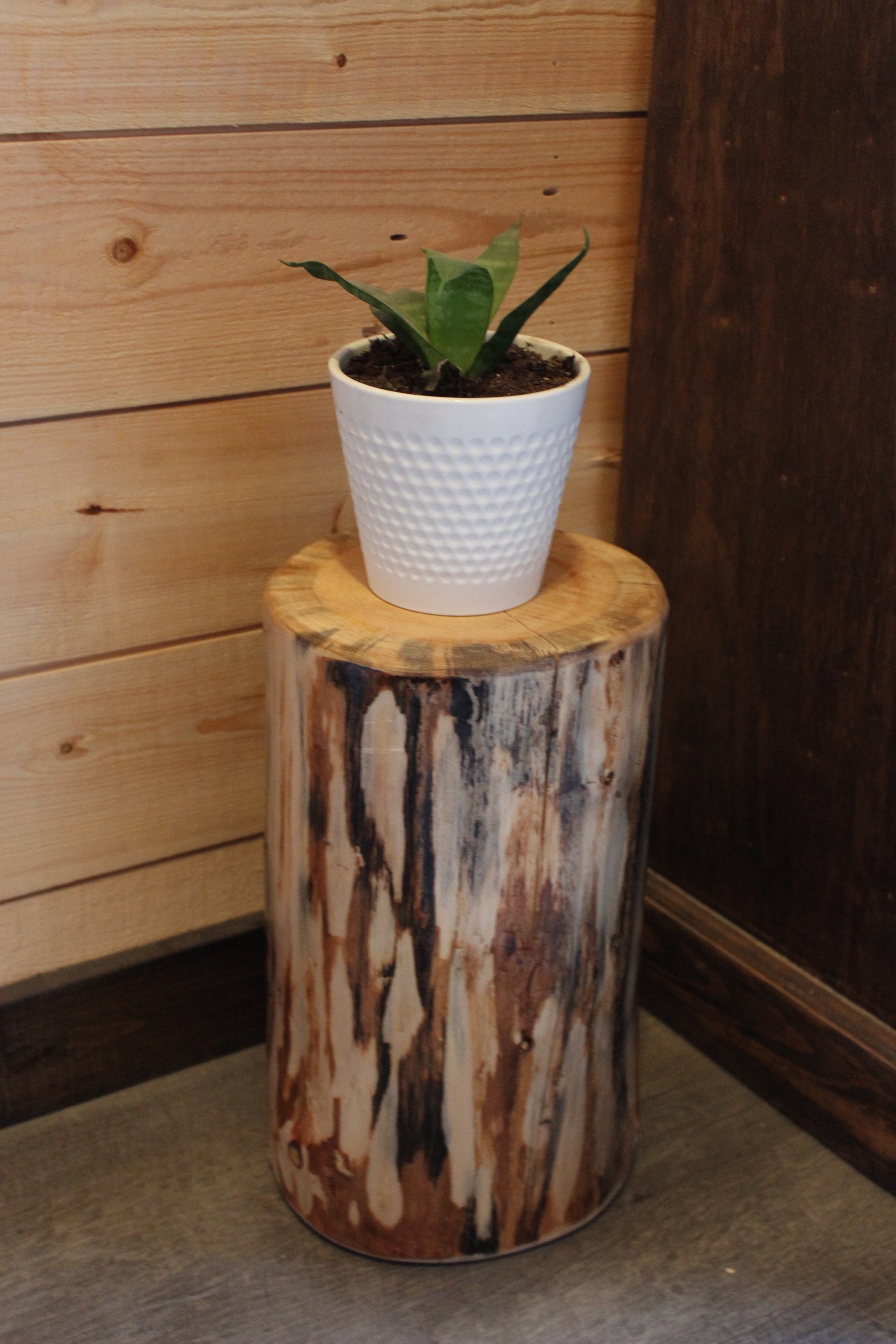 Lodgepole Plant Stand Stumps | Etsy