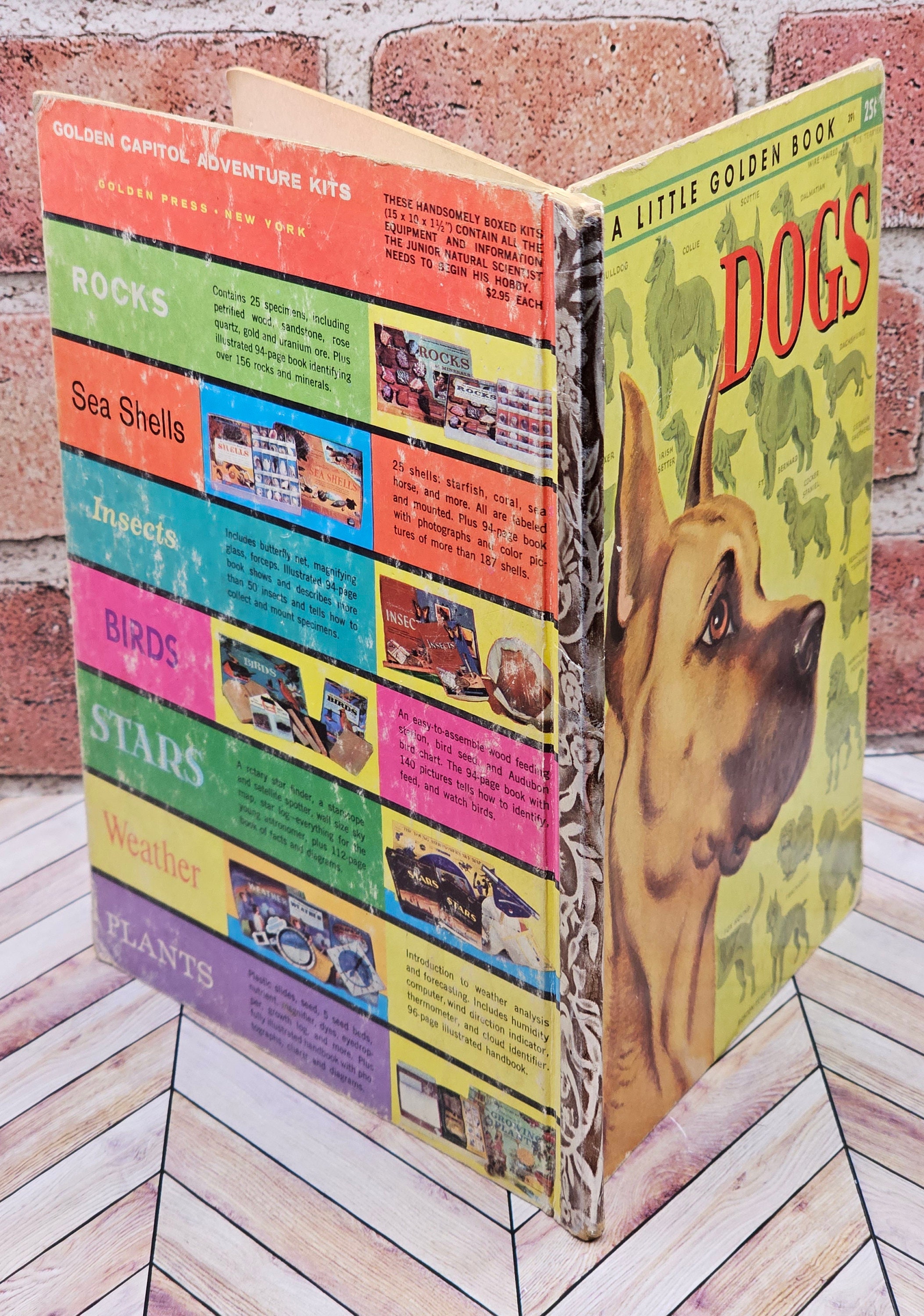Little Golden Book DOGS by Nita Jonas Pictures by Tibor Gergely 1952 ...