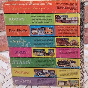 Little Golden Book DOGS by Nita Jonas Pictures by Tibor Gergely 1952 ...