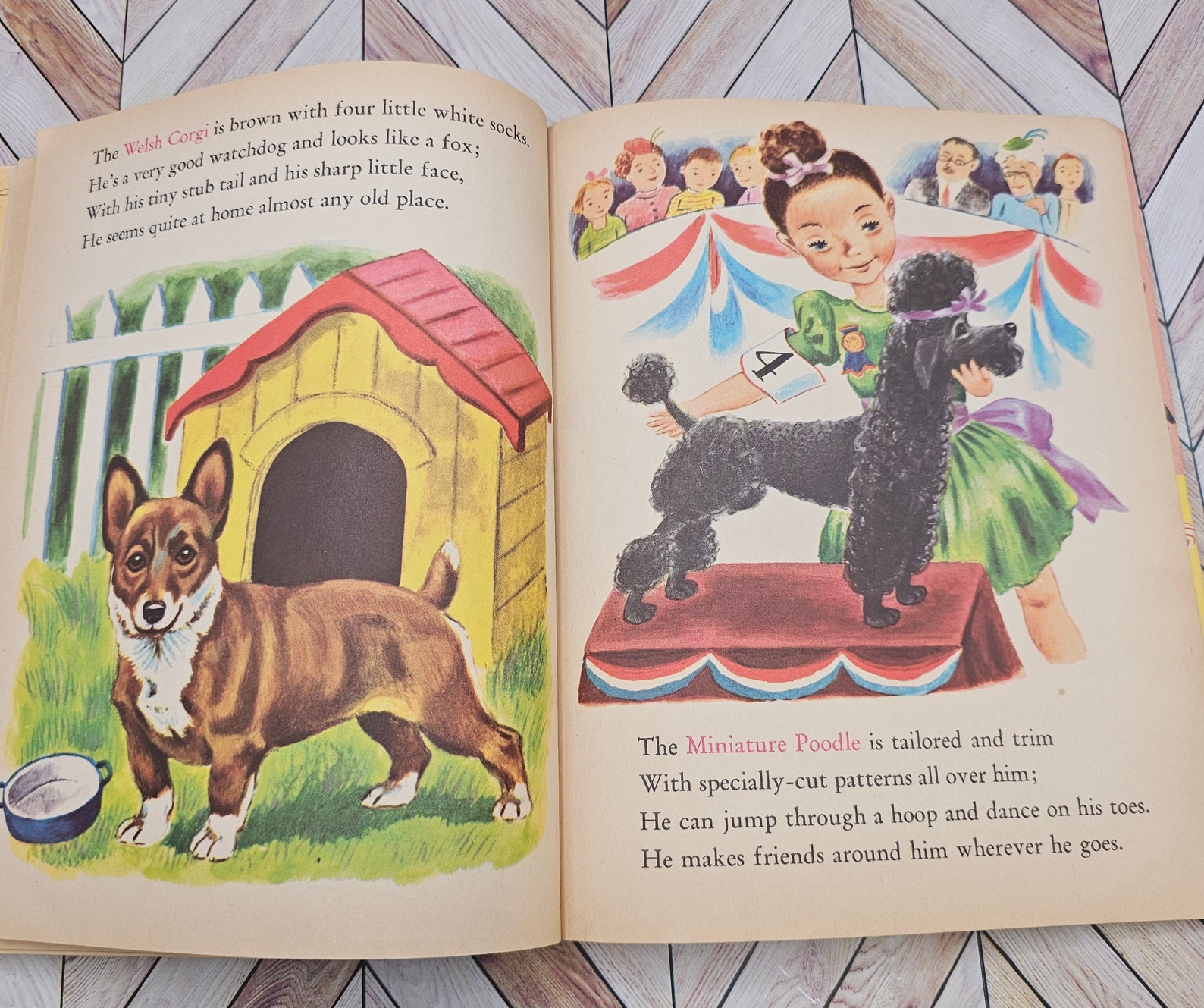 Little Golden Book DOGS by Nita Jonas Pictures by Tibor Gergely 1952 ...
