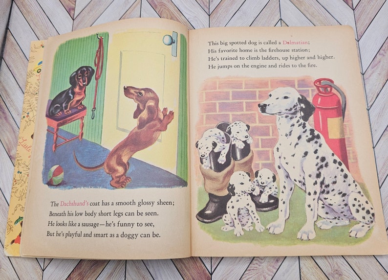 Little Golden Book DOGS by Nita Jonas Pictures by Tibor Gergely 1952 ...