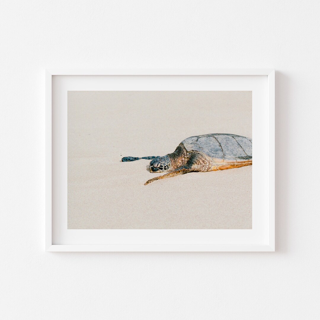 Hawaii Sea Turtle Print | Digital Download + Fine Art Print | Film ...