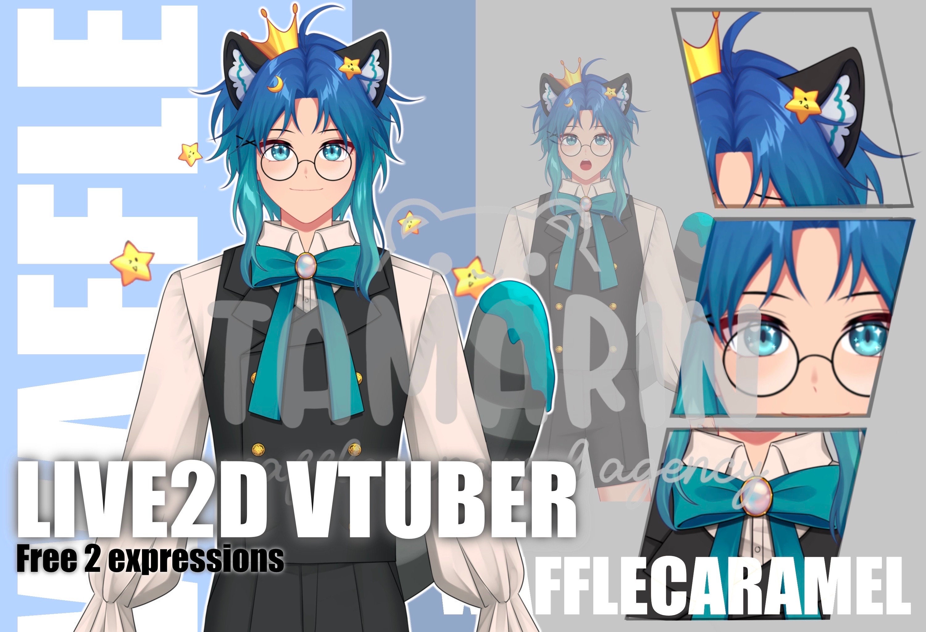 Premade Live2d Vtuber Model: Ready to Rig, Commercial Use - Etsy
