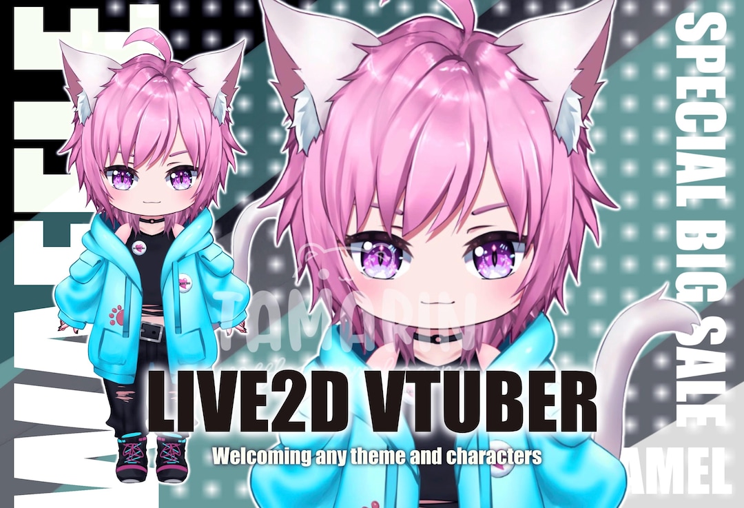 Chibi Vtuber Chibi Commission Live2d Model Custom: Design & Rigging ...