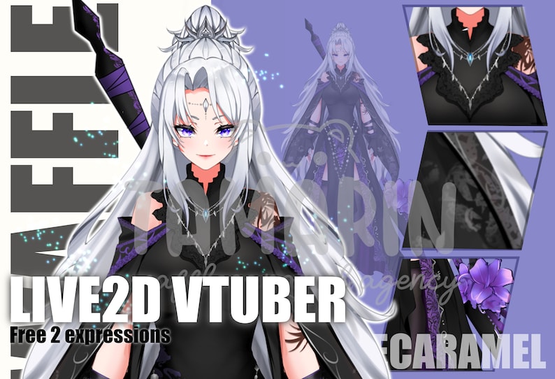 CUSTOM Vtuber Live2d Model Design & Vtuber Rigging (commercial Use ...